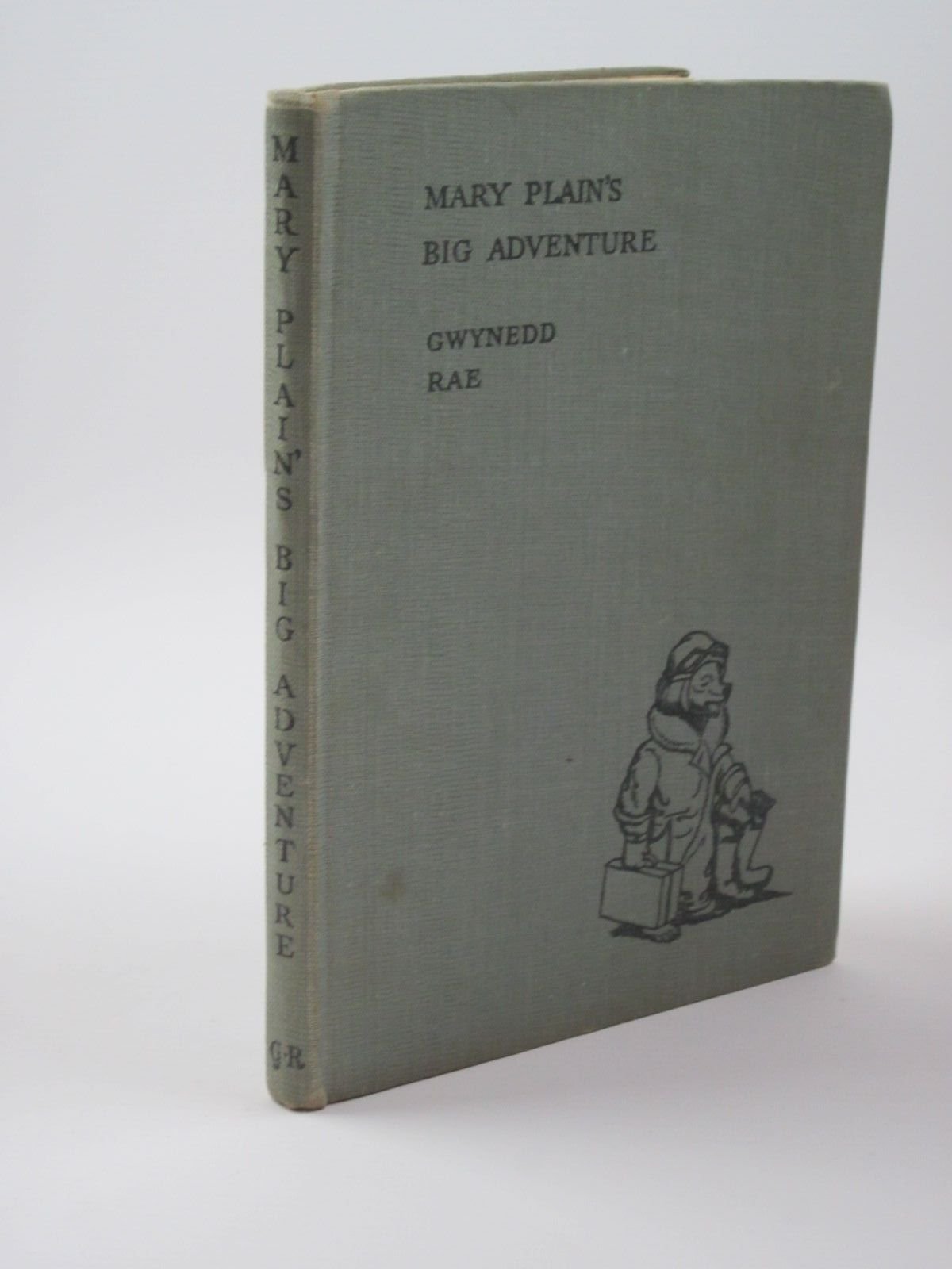 Mary Plain's Big Adventure (Mary Plain #9) by Gwynedd Rae | Goodreads