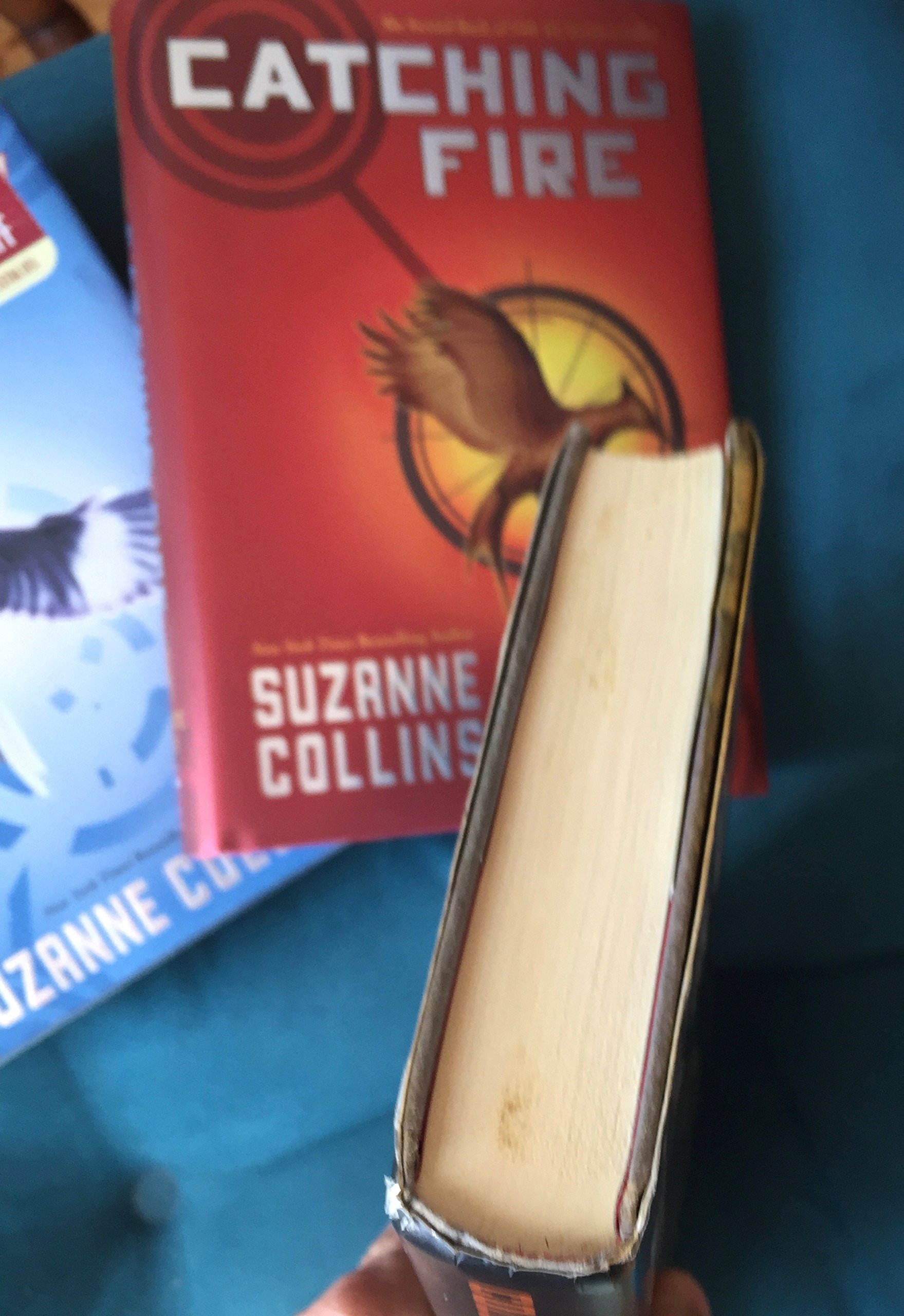 The Hunger Games Trilogy Boxed Set|THE HUNGER GAMES by Suzanne Collins ...