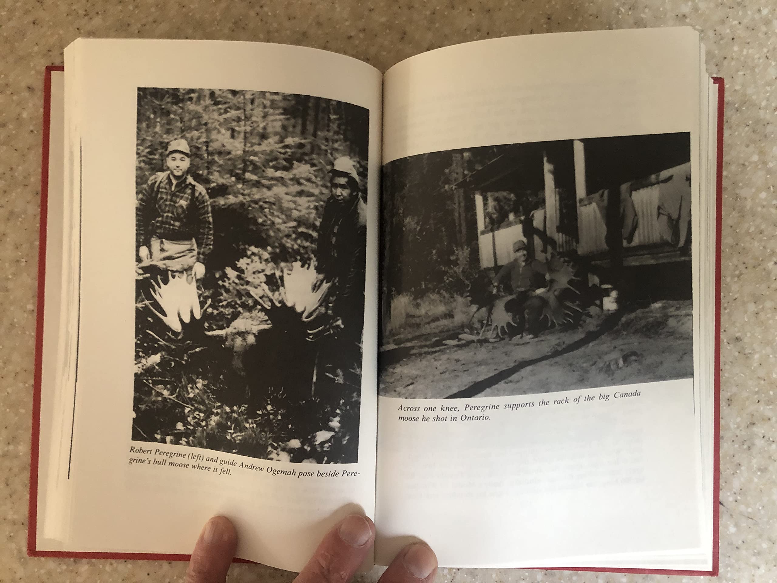 20 Great Trophy Hunts: Personal Accounts of Hunting North America's Top ...