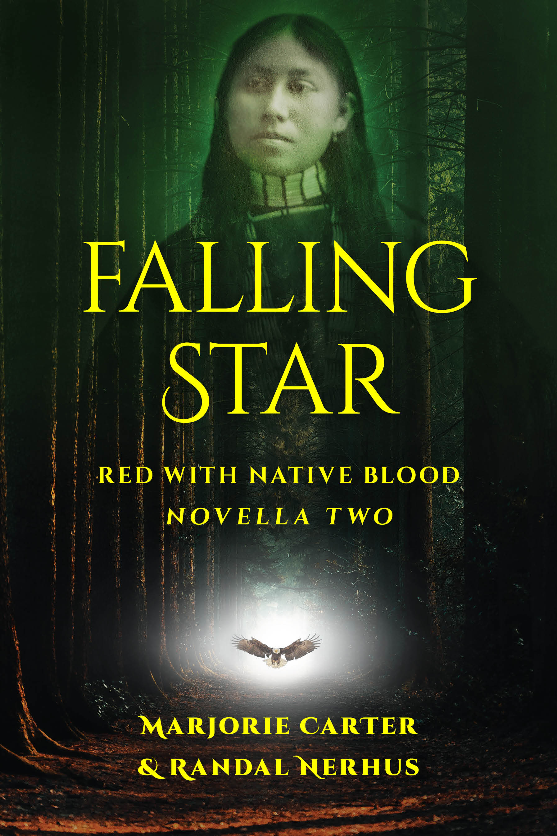 Falling Star (Red With Native Blood, Novella #2) by Randal Nerhus ...