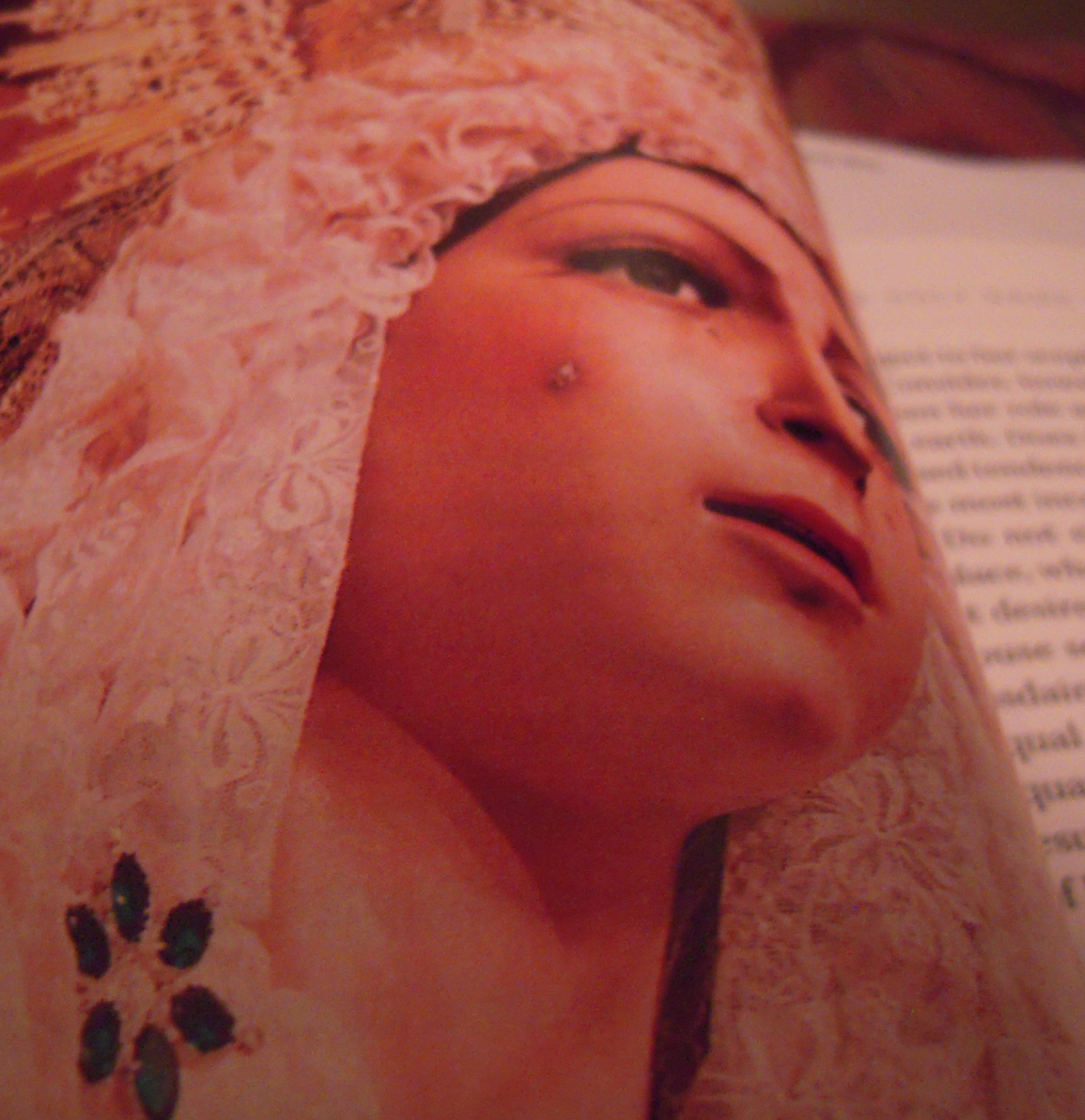 The Virgin Mary by Father Raymond De Thomas De Saint Laurent by Father ...