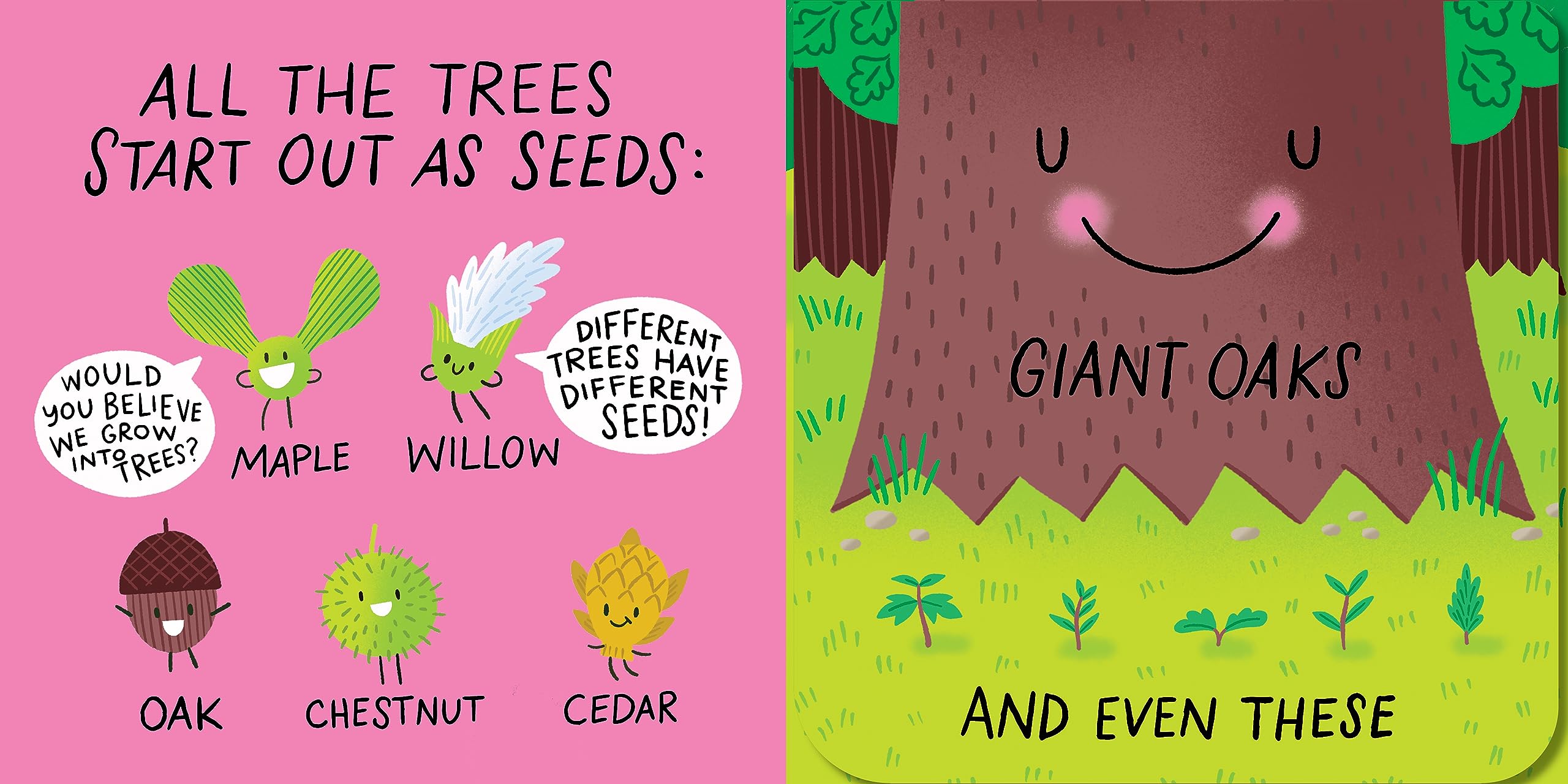 A Seed Will Grow (A Hello!Lucky Hands-On Book): An Interactive Board ...