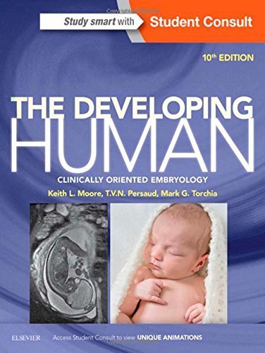 The Developing Human: Clinically Oriented Embryology, 10e by Keith L ...