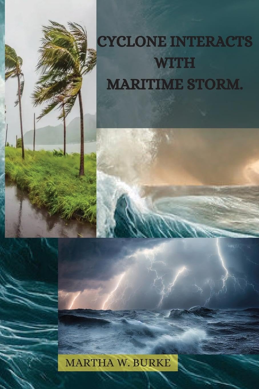 Cyclone interacts with maritime storm by Martha W Burke | Goodreads