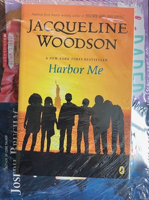 Multicultural 8 Book Set: Harbor Me, Blended, Child of the Dream ...