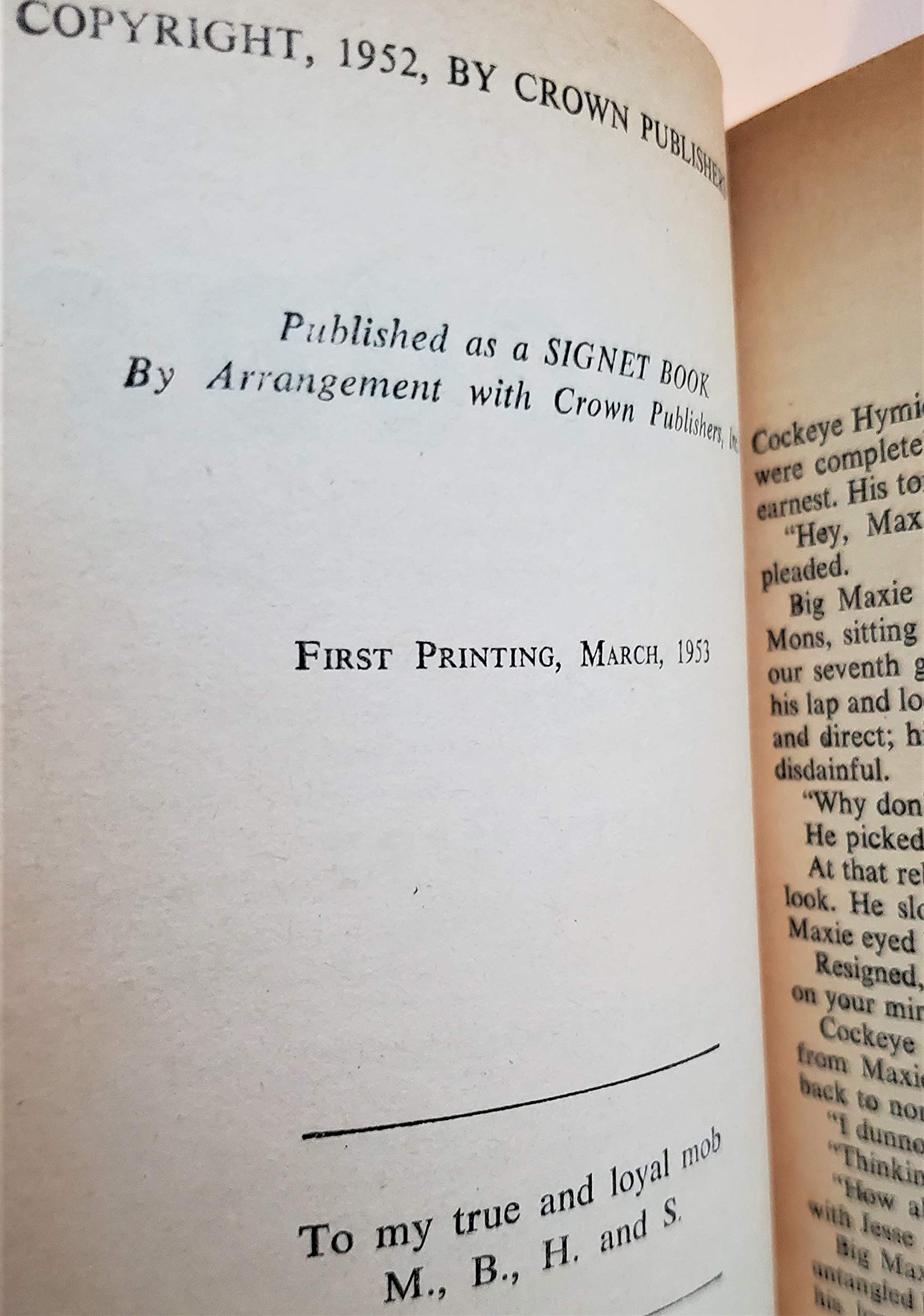 The Hoods: One of the Most Amazingly Frank Exposures of Gangster life ...