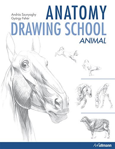 Anatomy Drawing School: Animals (Anatomy Drawing School 2) by Andras ...
