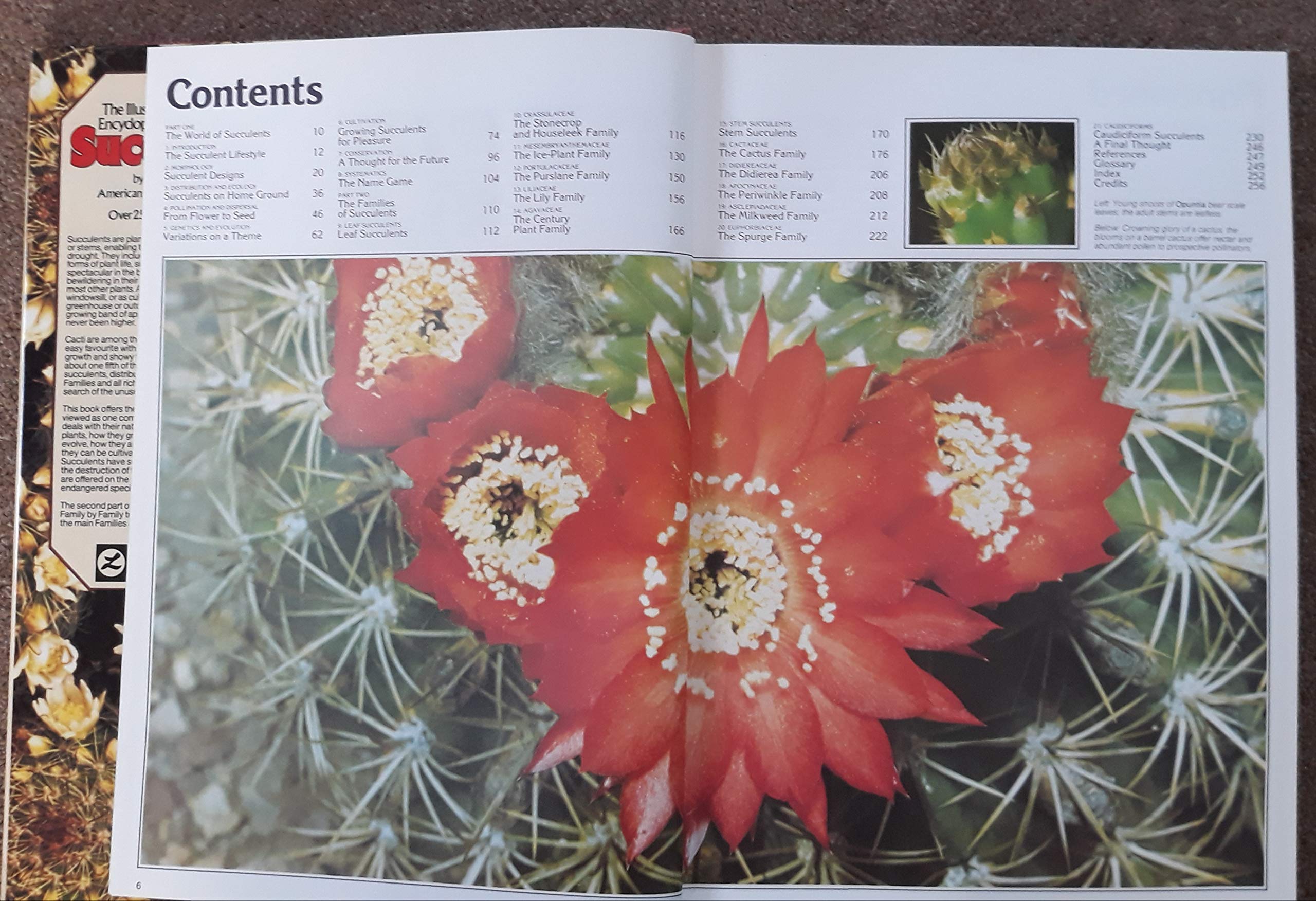 The Illustrated Encyclopedia of Succulents by Gordon Rowley | Goodreads