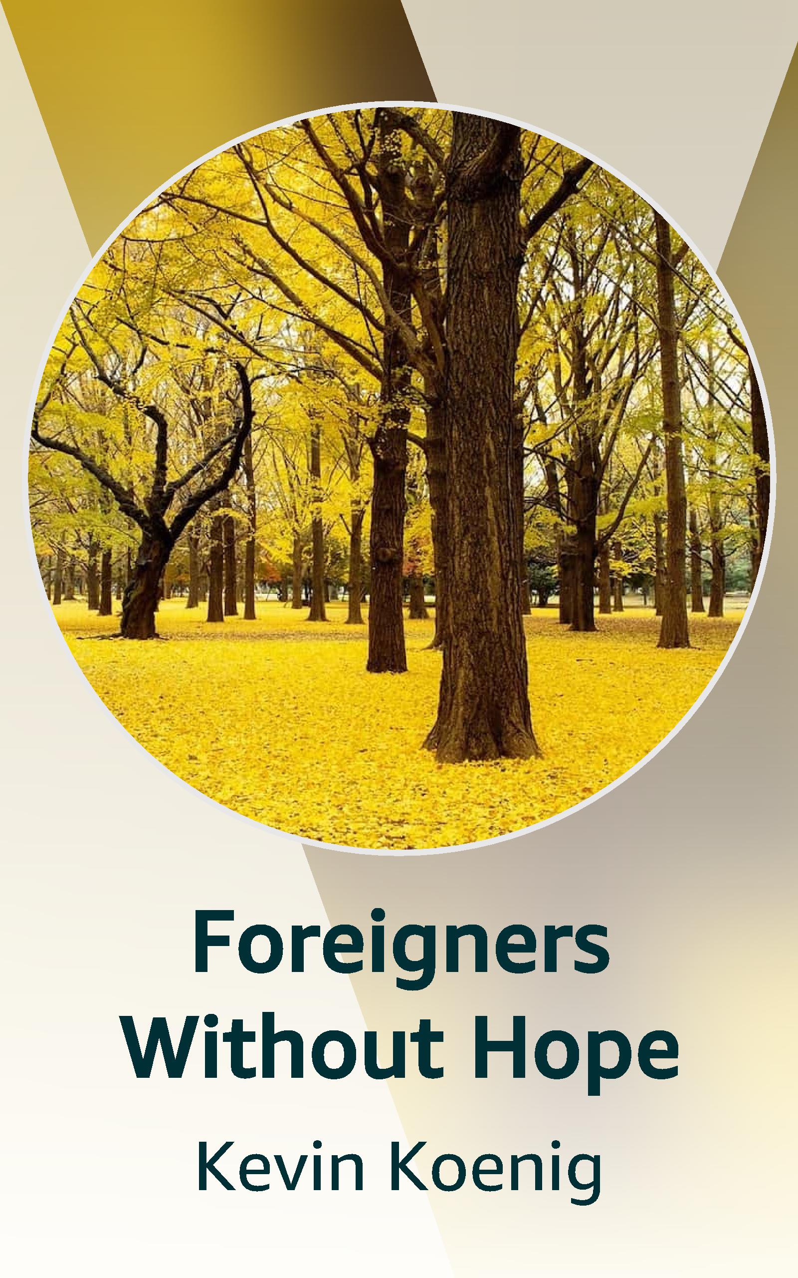 Foreigners Without Hope by Kevin Koenig | Goodreads