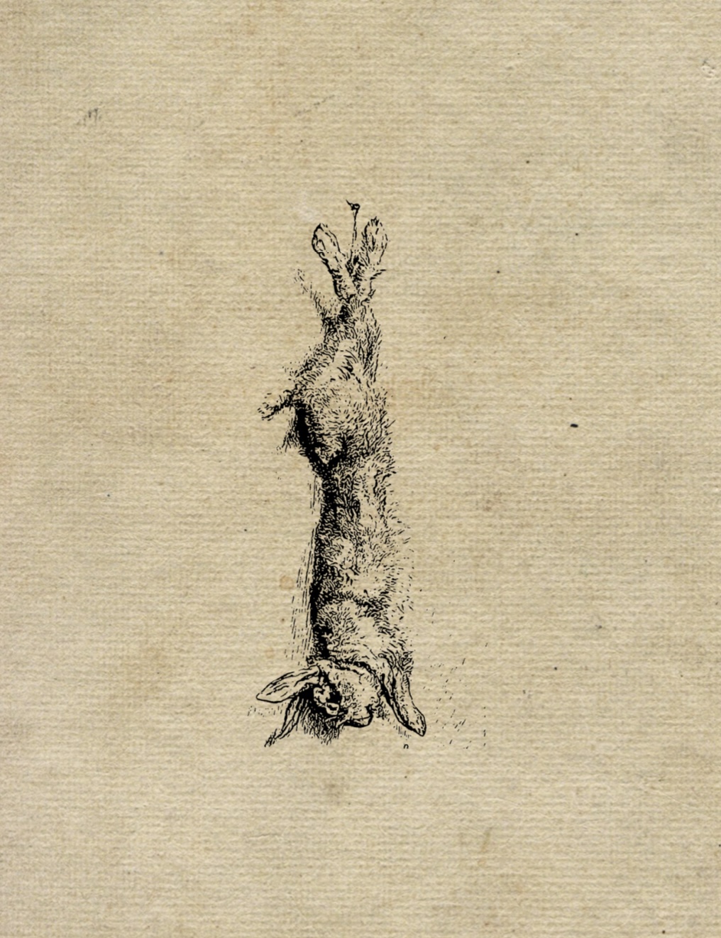 Womb: A Poem in Dramatic Form by Robbie Coburn | Goodreads