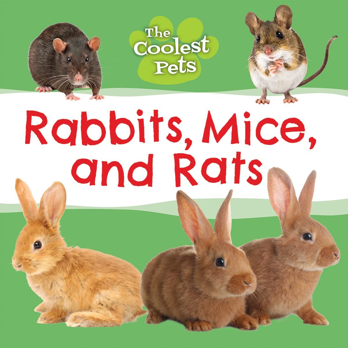 Rabbits, Mice, and Rats (Coolest Pets) by Anne O'Daly | Goodreads