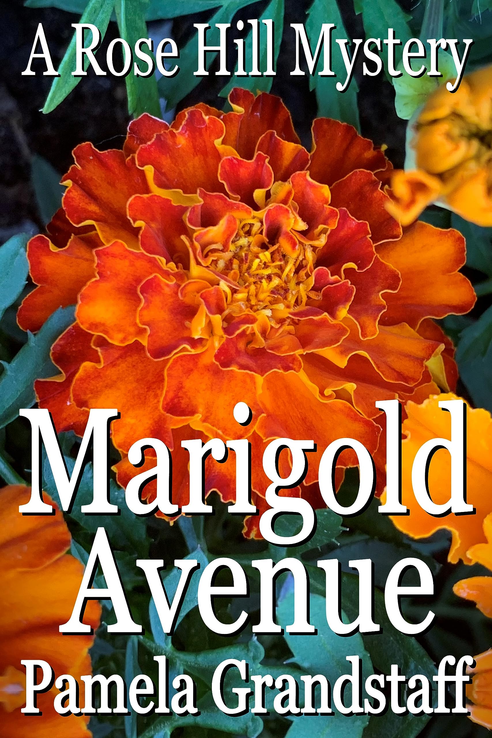 Marigold Avenue (Rose Hill Book 13) by Pamela Grandstaff | Goodreads