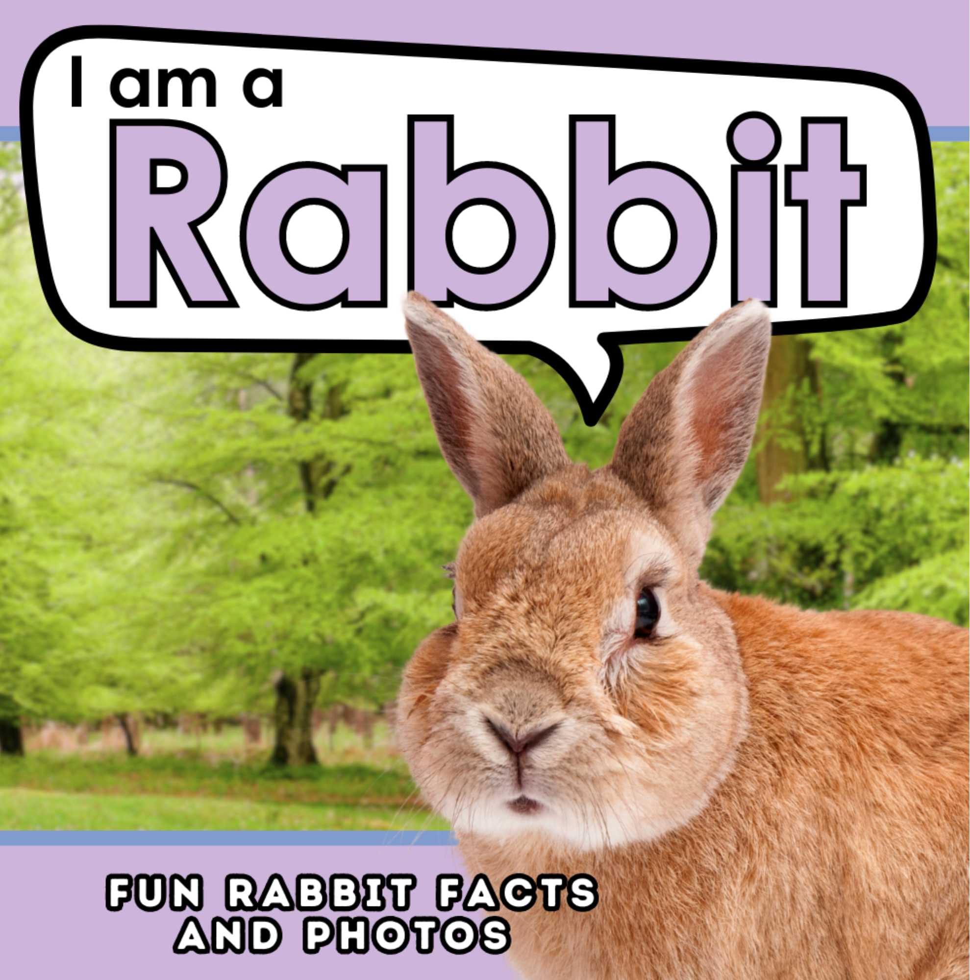 I am a Rabbit: A Children's Book with Fun and Educational Animal Facts ...