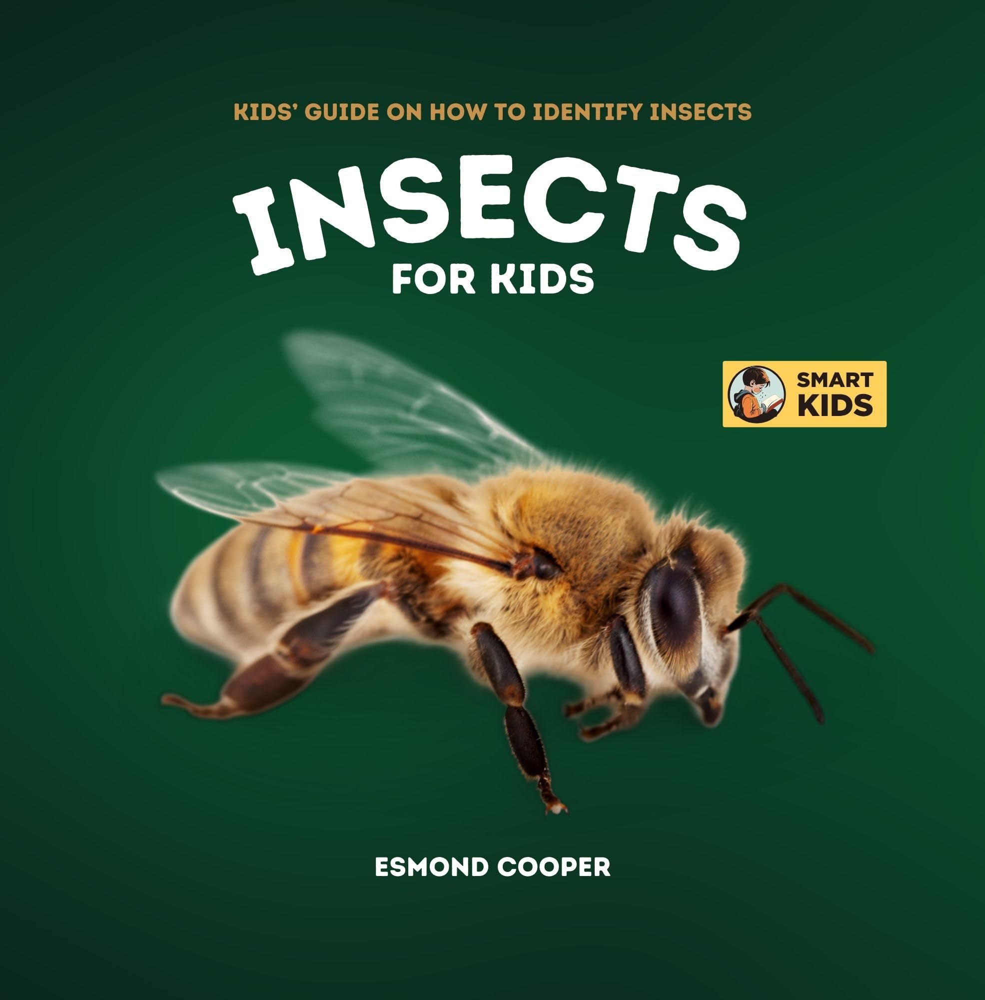 Insects for Kids: Kids’ Guide on How to Identify Insects by Esmond ...