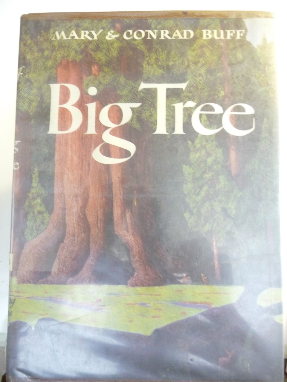 Big Tree by Mary and Conrad Buff | Goodreads