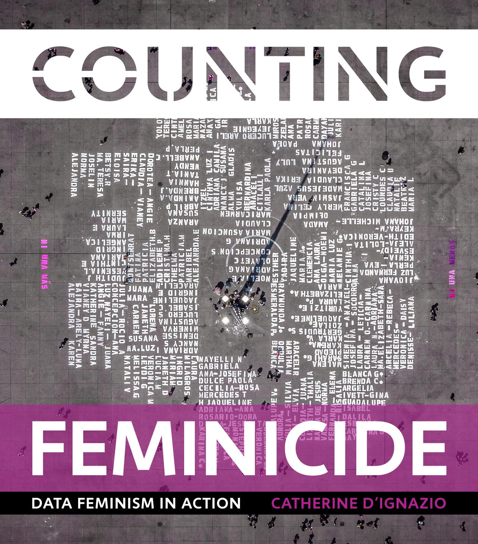 Counting Feminicide: Data Feminism in Action by Catherine D'Ignazio | Goodreads