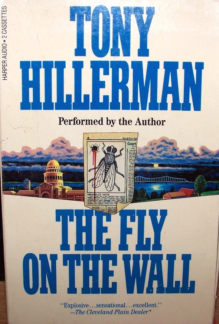 THE FLY ON THE WALL (2 AUDIOCASSETTES) by Remy Lai | Goodreads