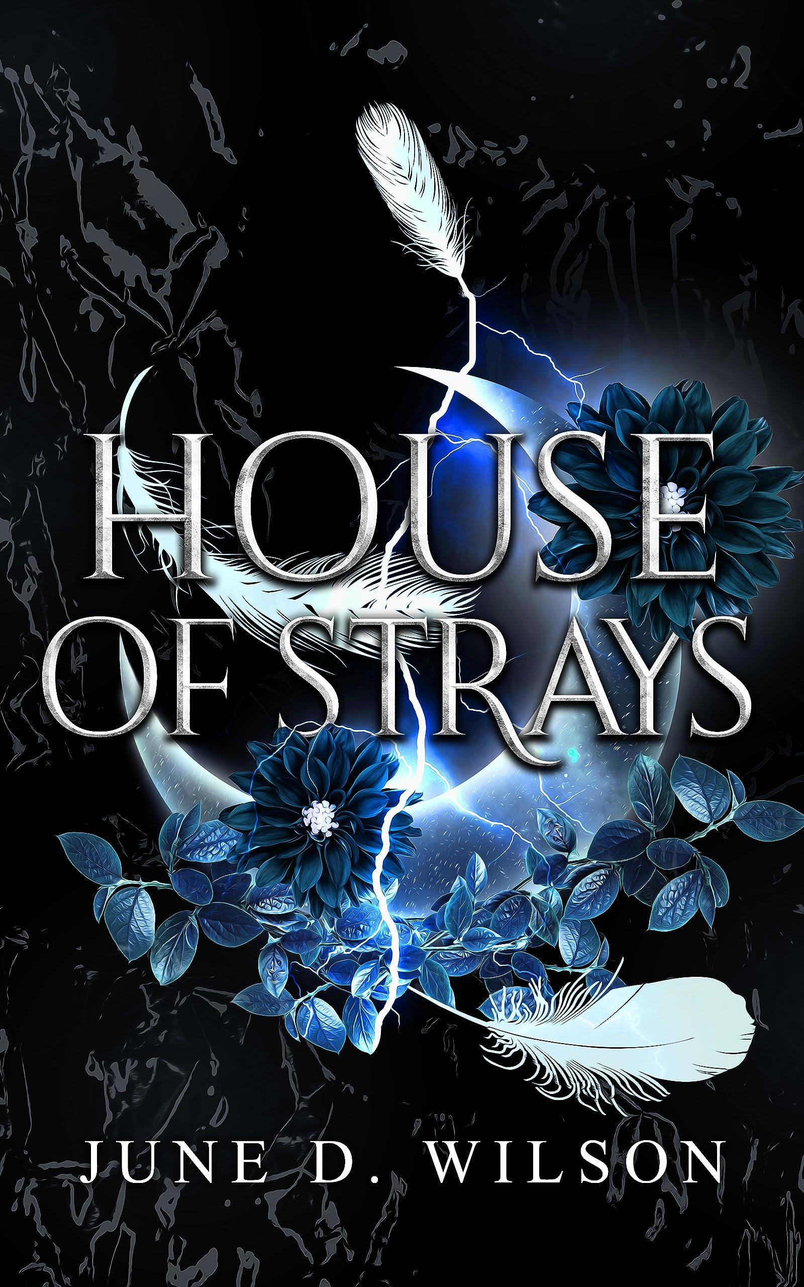 House of Strays by June D. Wilson | Goodreads