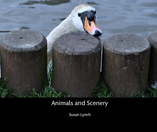 Animals and Scenery by Susan Lynch | Goodreads