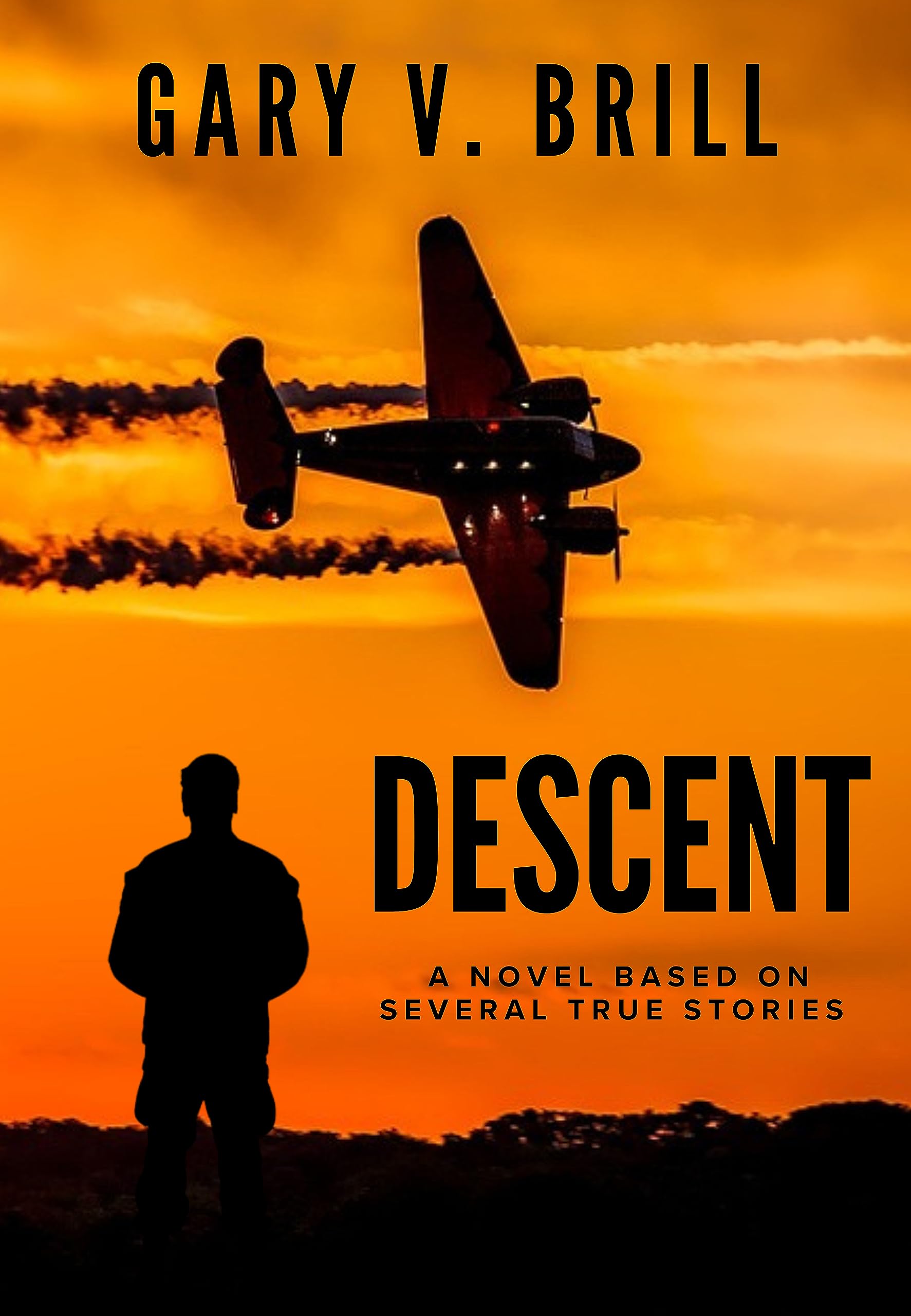 DESCENT: A Novel Based on Several True stories by Gary V Brill | Goodreads