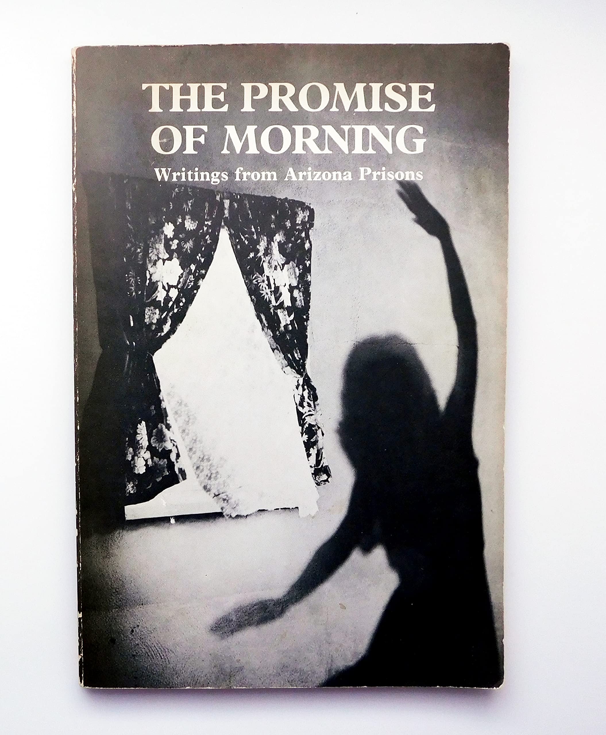 Promise of Morning: Writings from Arizona Prisons by William Aberg ...