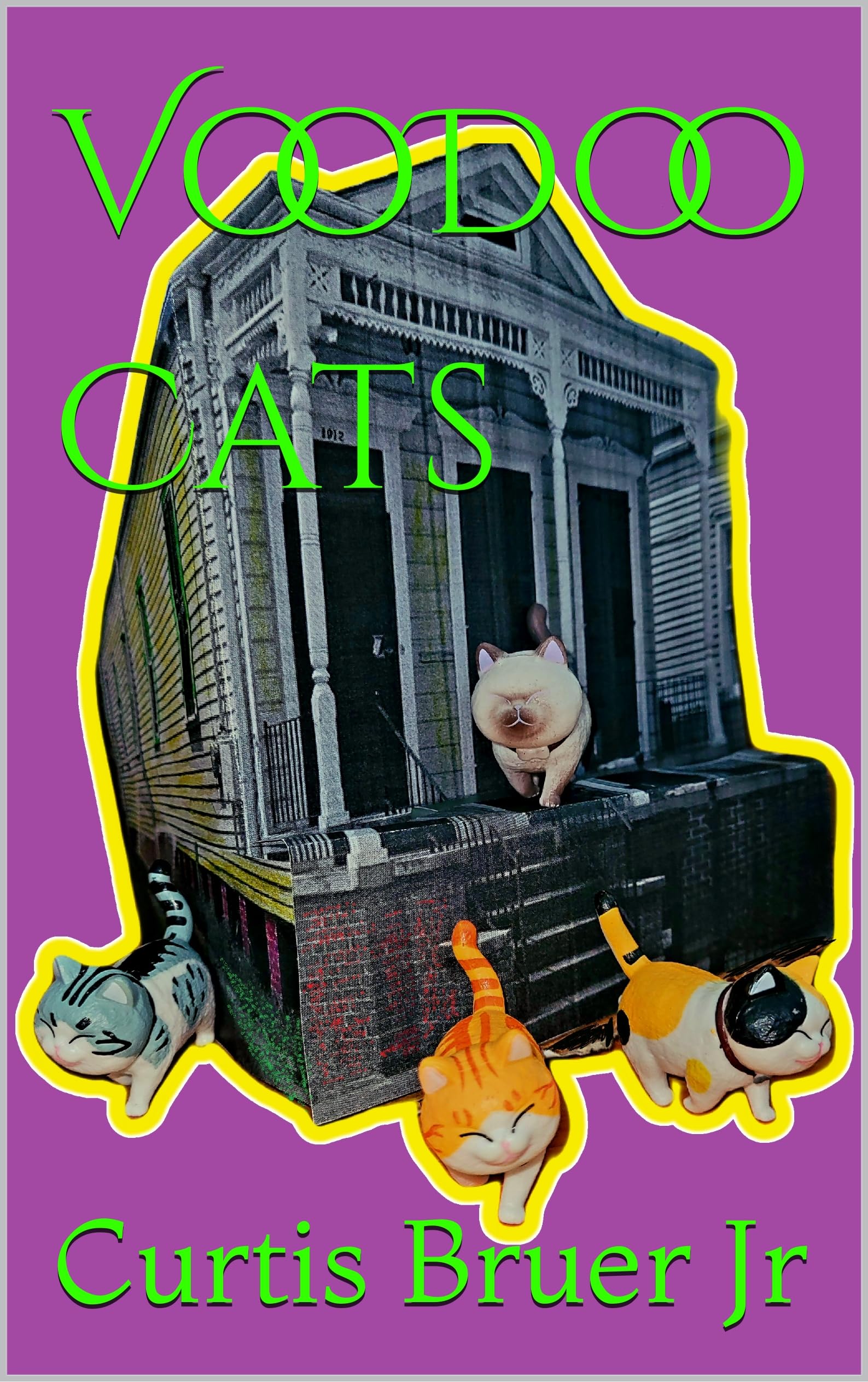 VooDoo Cats by Curtis Bruer | Goodreads