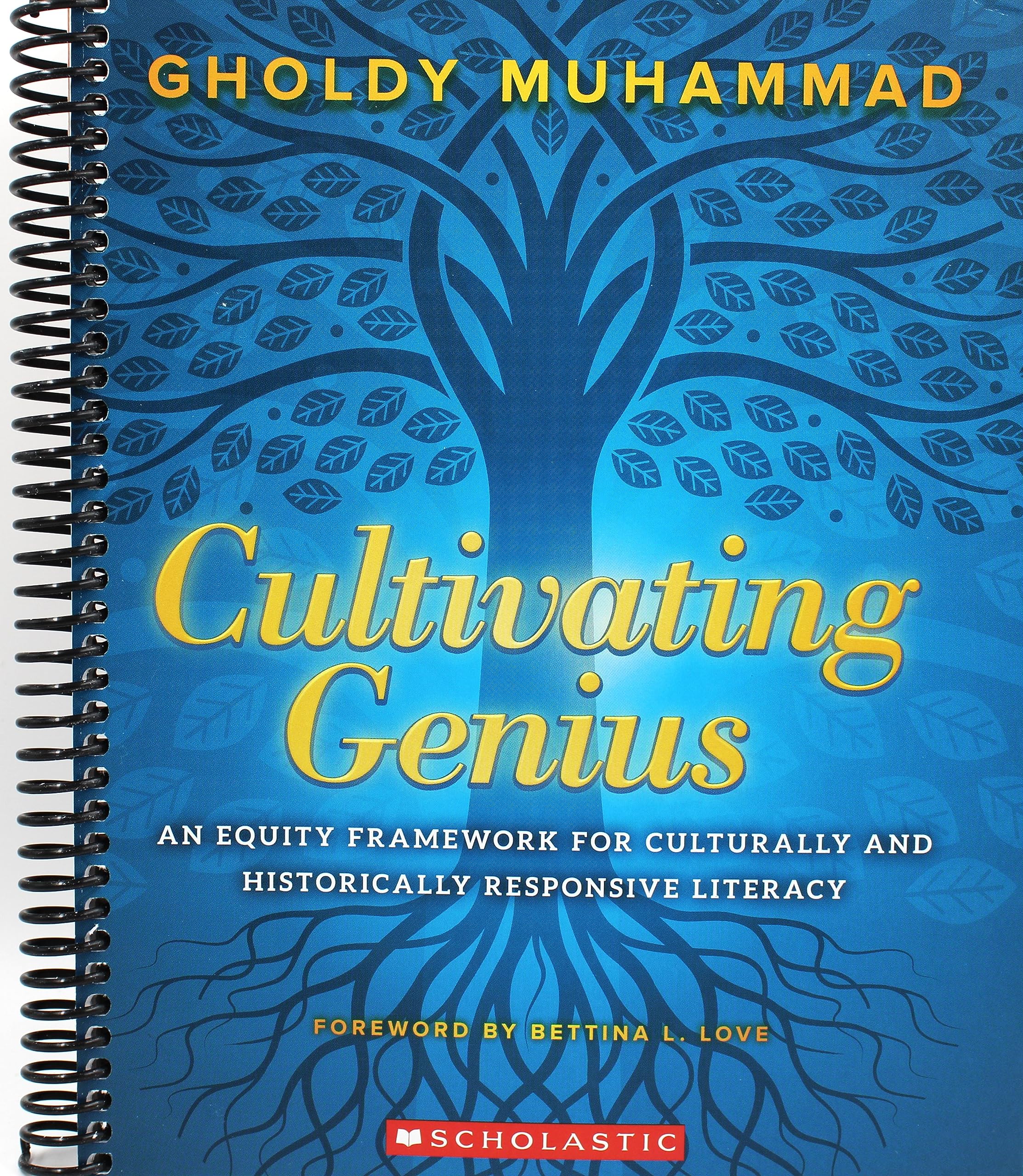 Cultivating Genius: An Equity Framework for Culturally and Historically ...