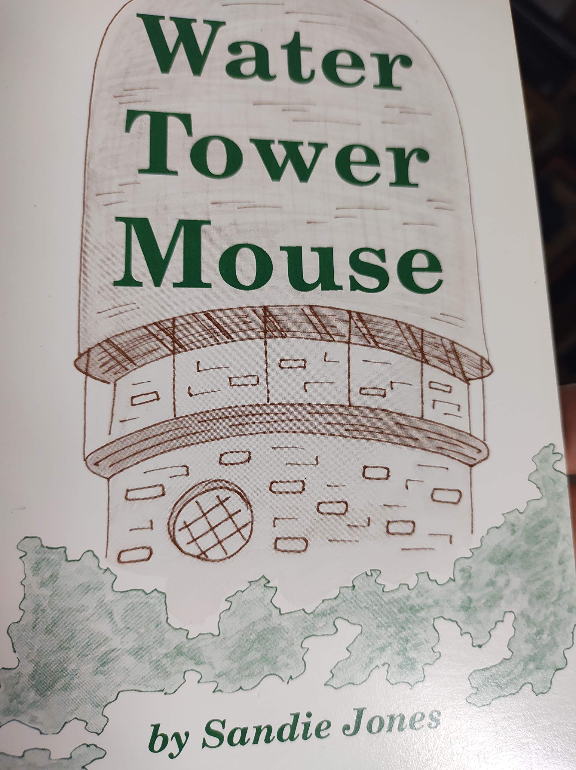 Water tower mouse by Sandie Jones | Goodreads
