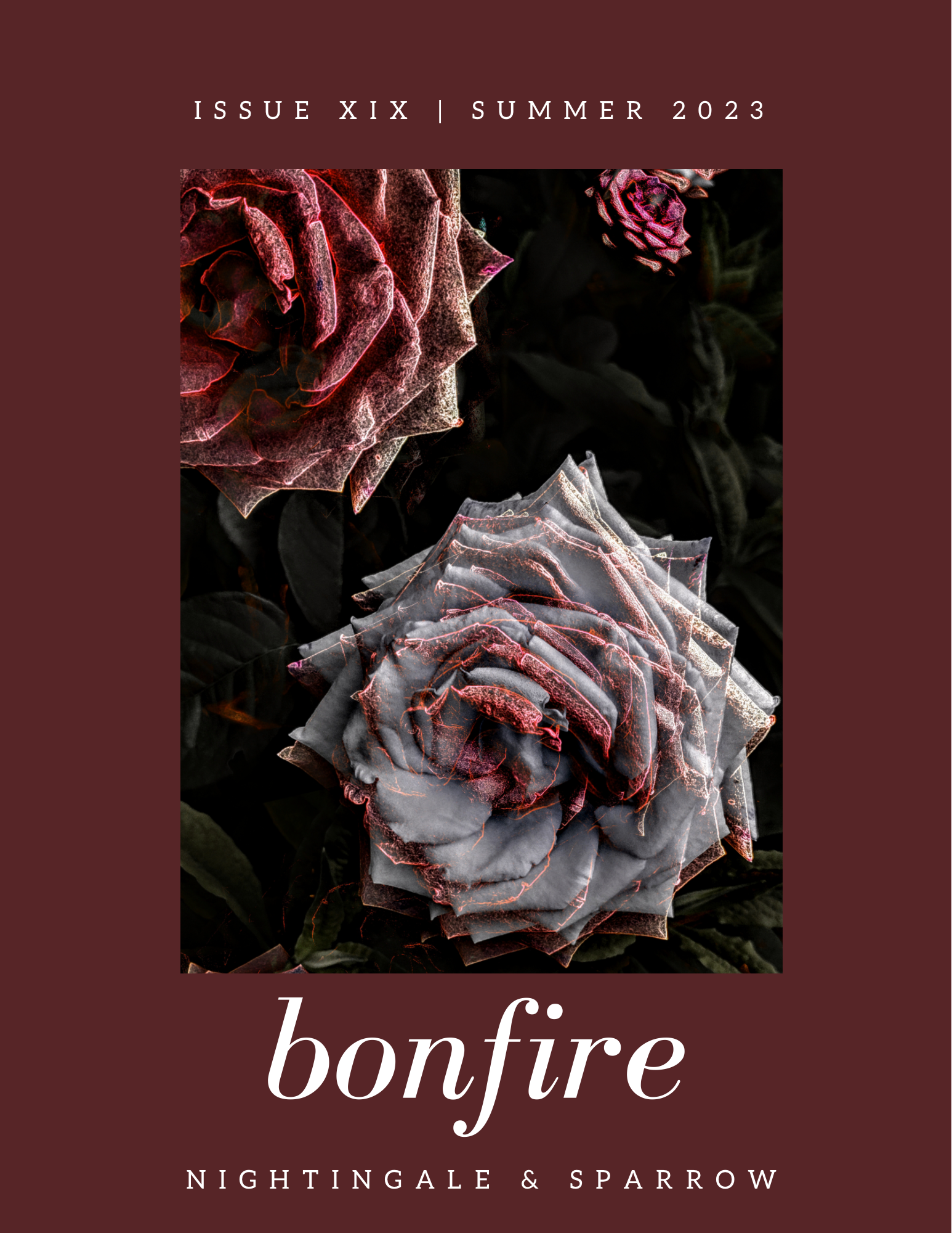 bonfire by Juliette Sebock | Goodreads
