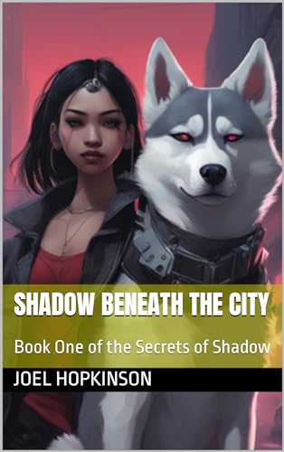 Shadow Beneath the City: Book One of the Secrets of Shadow by Joel ...