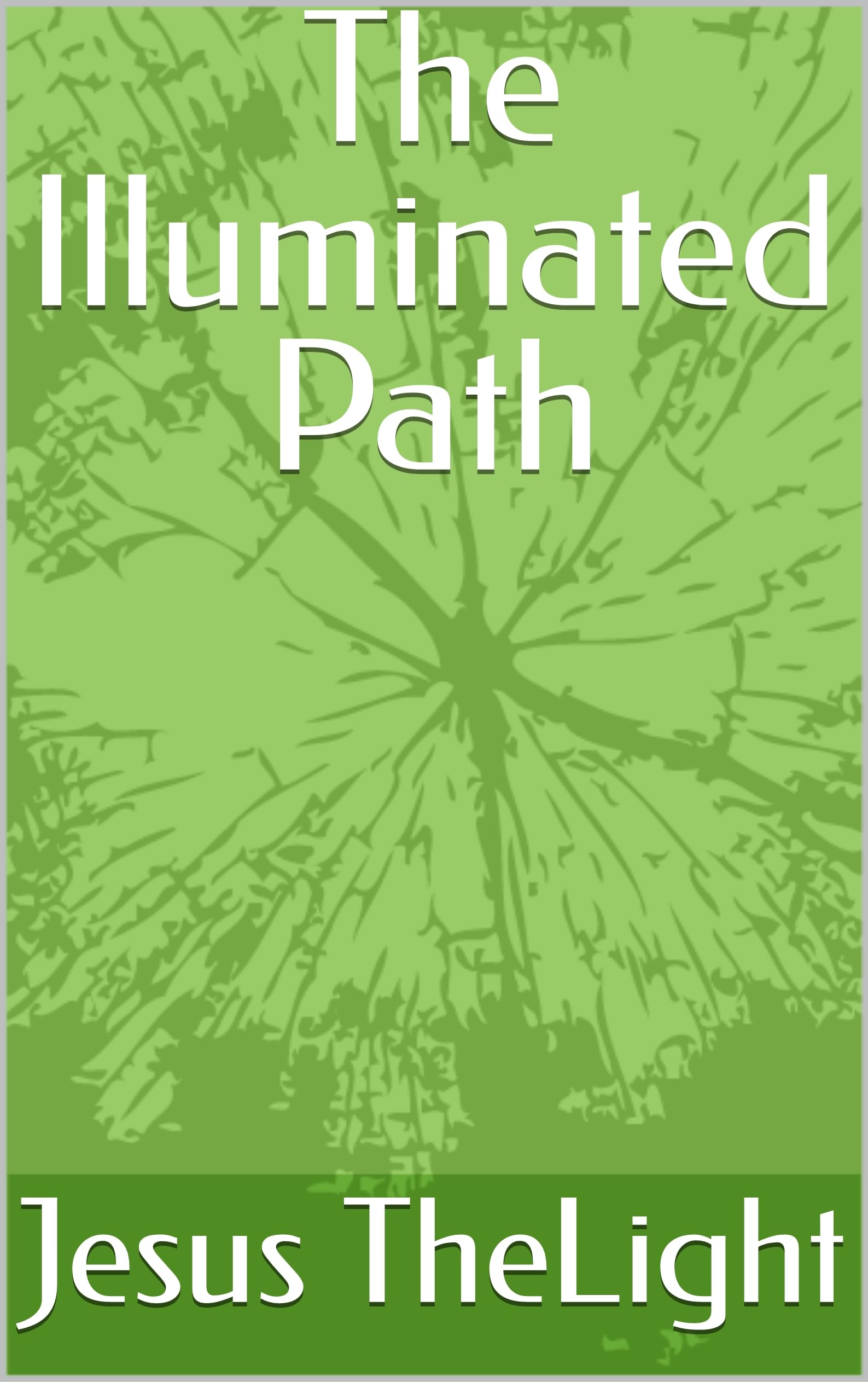 The Illuminated Path by Jesus TheLight | Goodreads