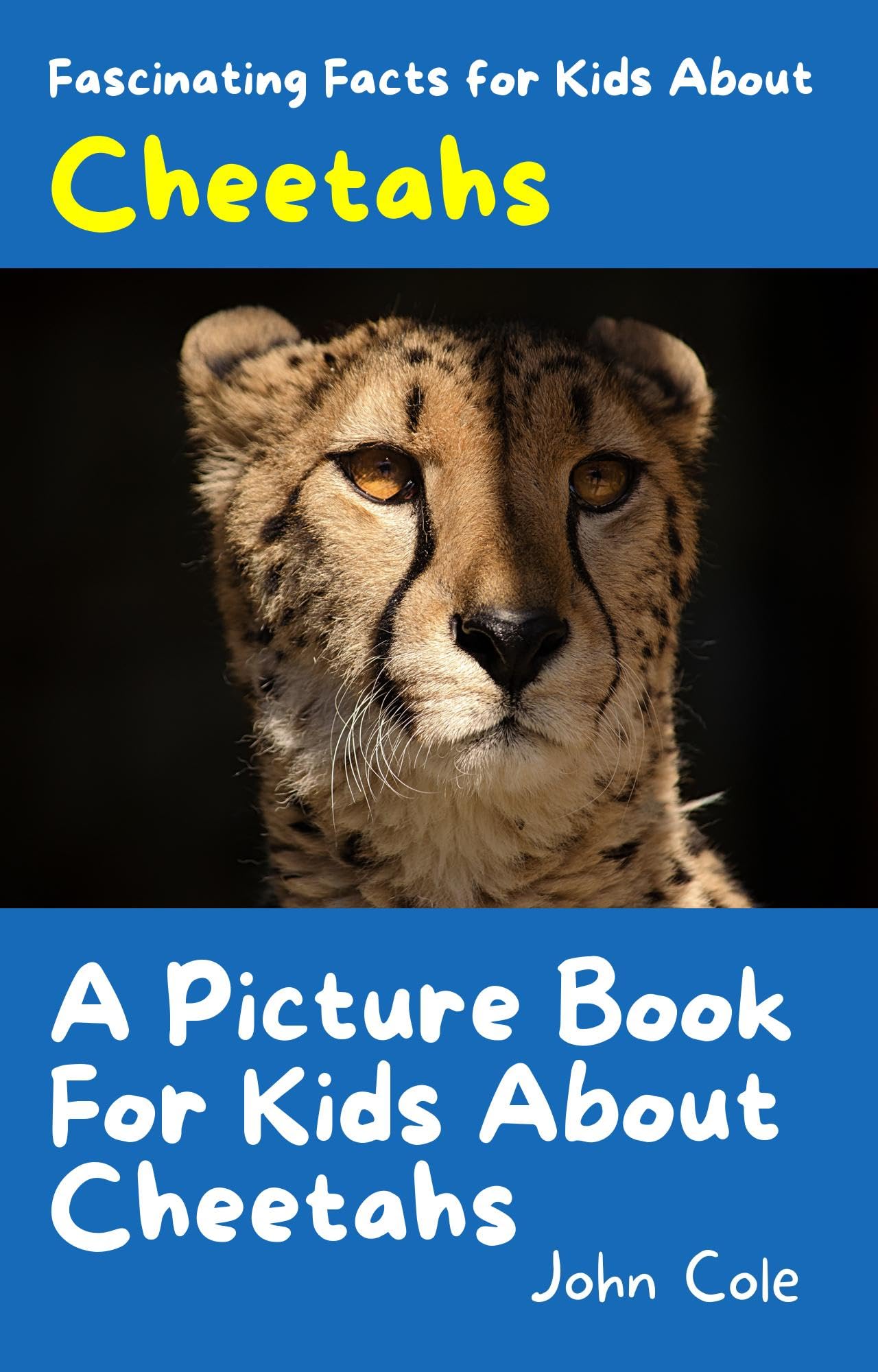 A Picture Book for Kids About Cheetahs: Fascinating Facts for Kids ...