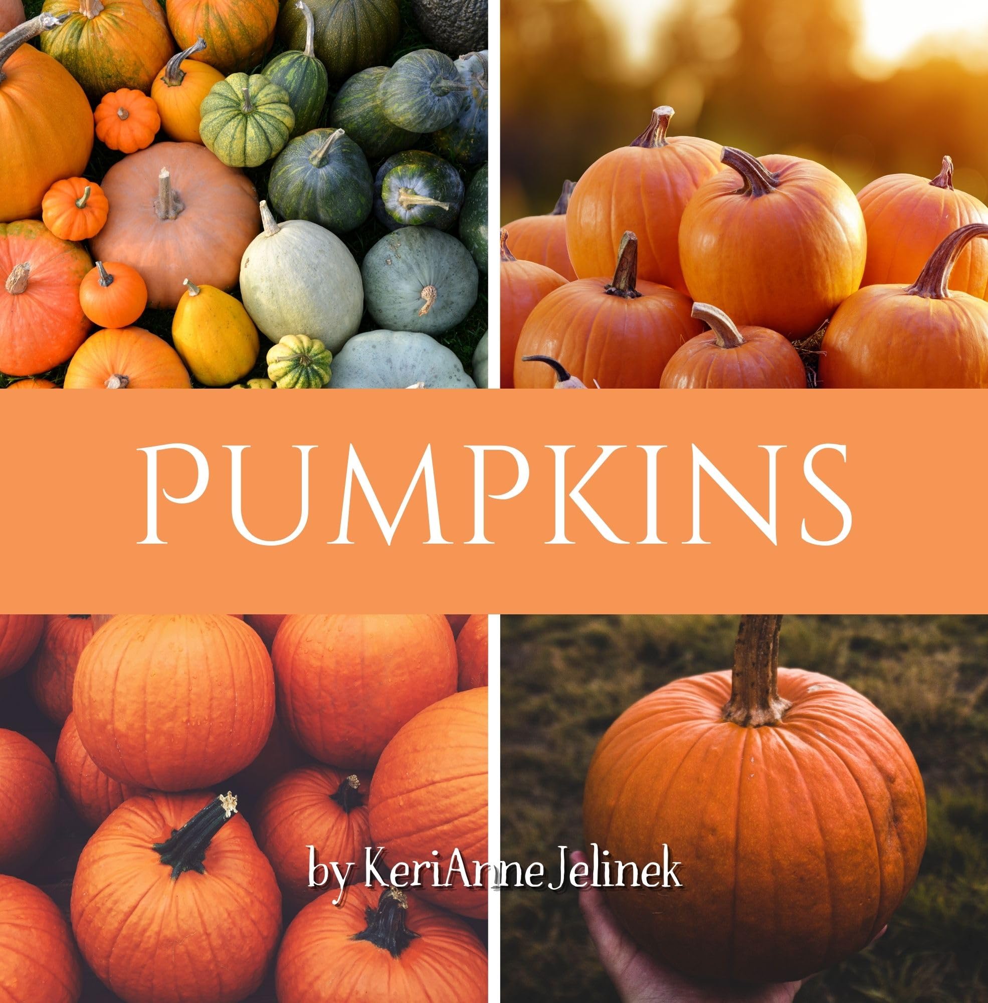 Pumpkins: Kid's Books About Pumpkins, Children's Books About Pumpkins ...