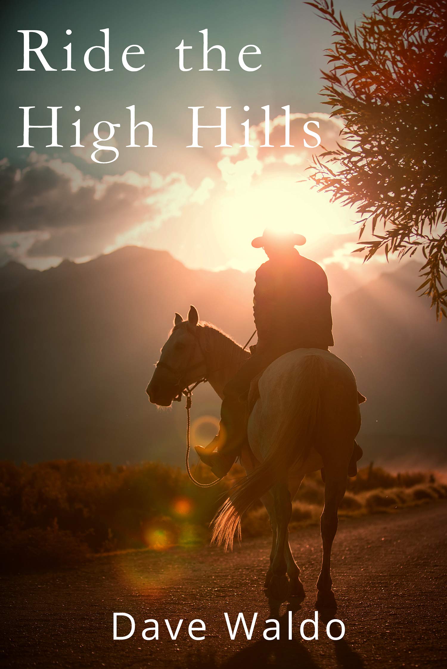 RIDE THE HIGH HILLS a classic western adventure novel by Dave Waldo ...