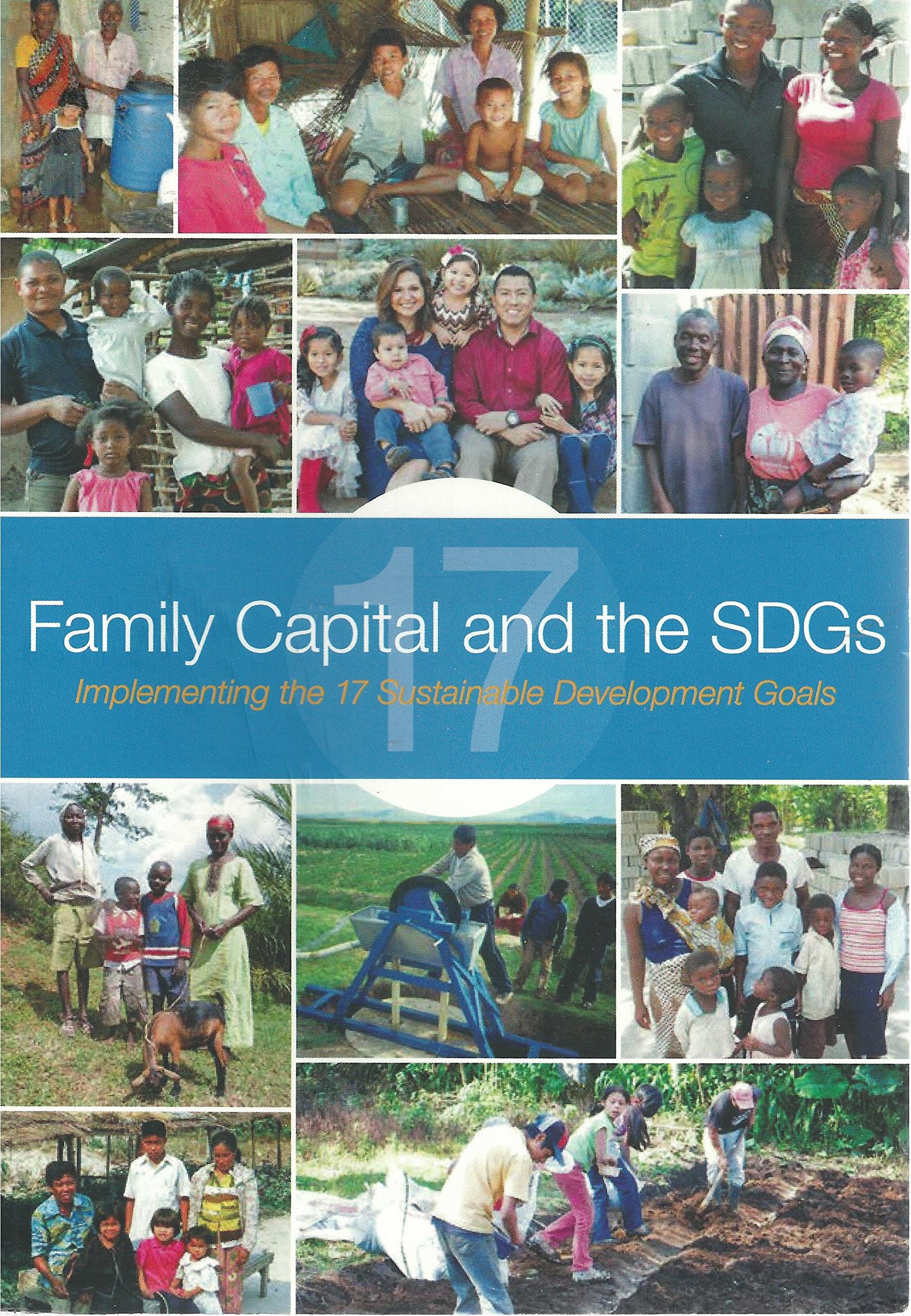 Family Capital and the SDGs, Implementing the 17 Sustainable ...