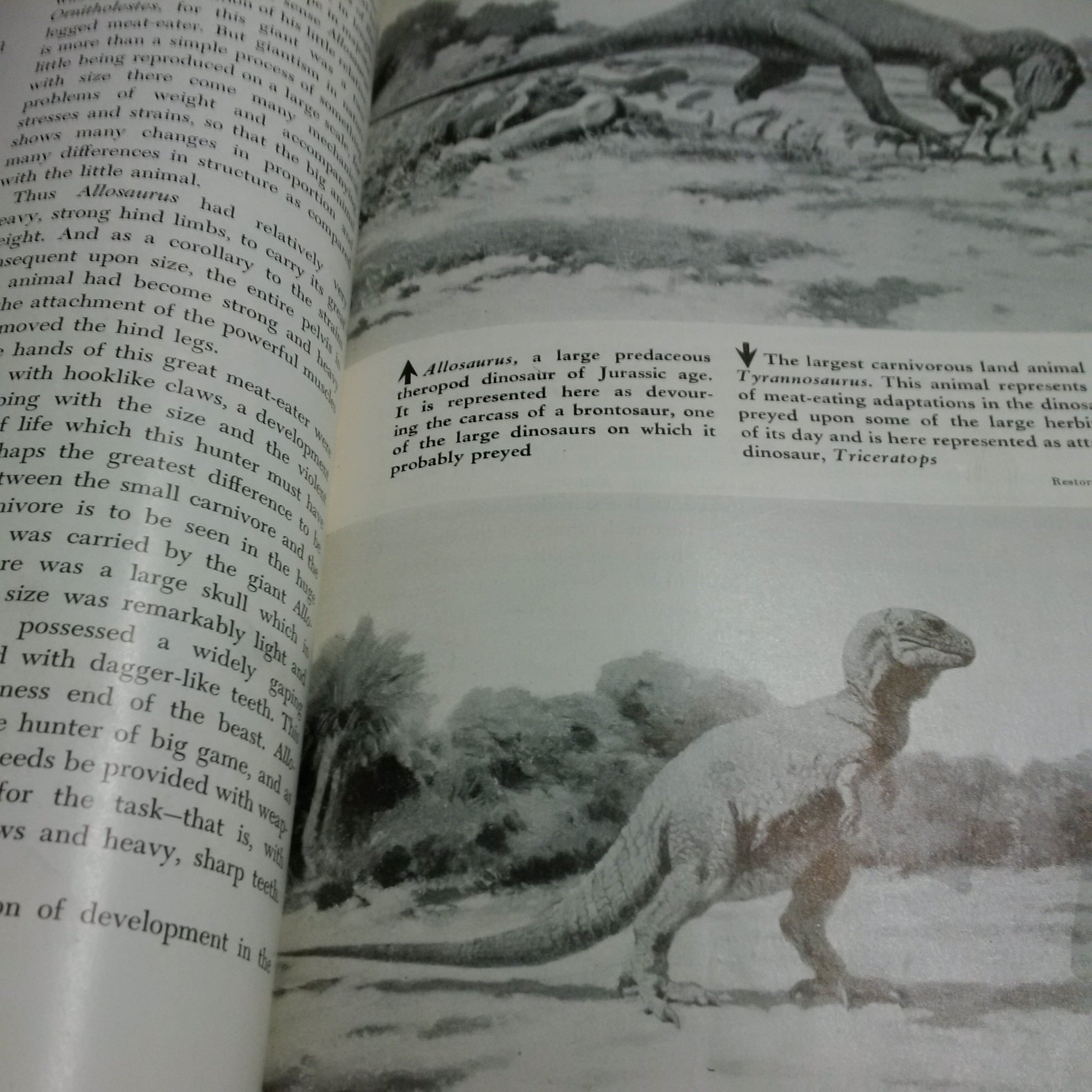 Dinosaur Book by Edwin H. Colbert | Goodreads