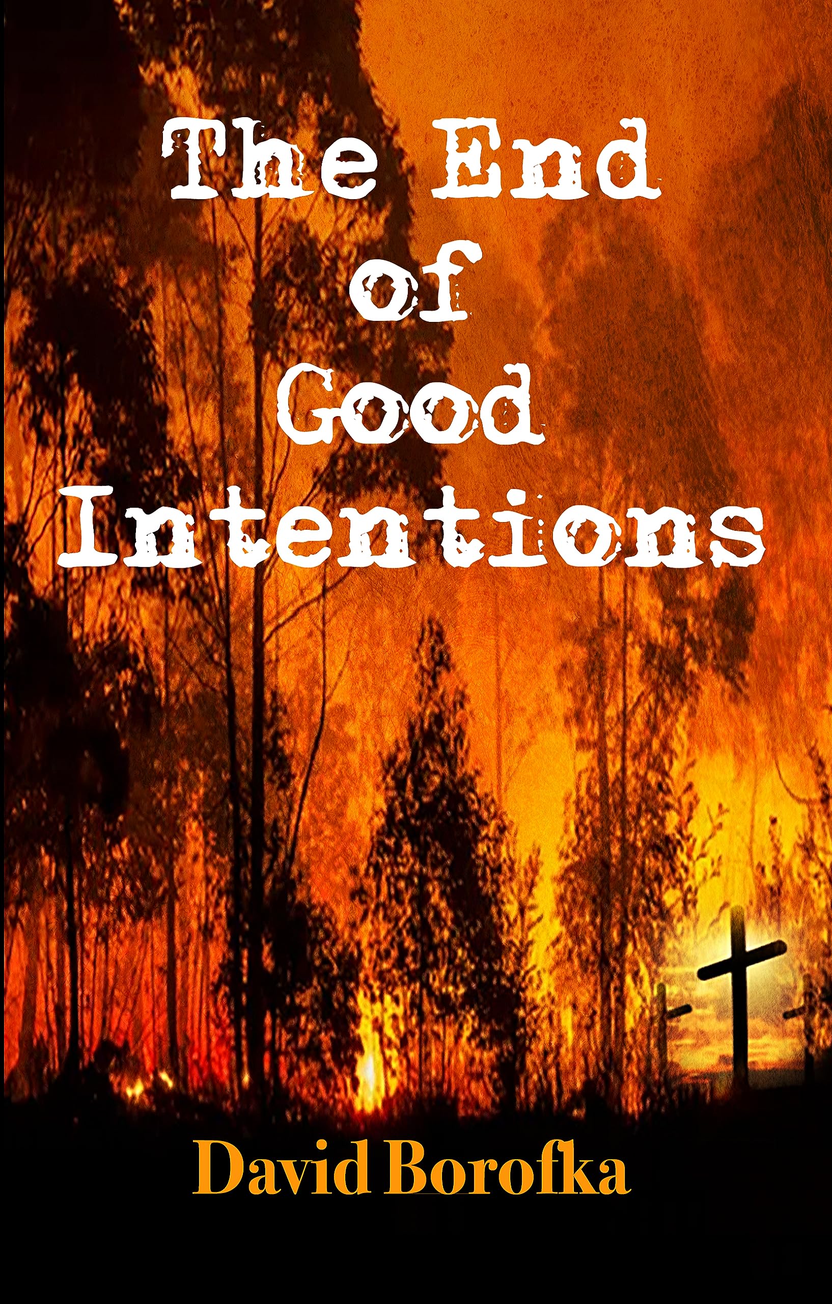 The End of Good Intentions by David Borofka | Goodreads