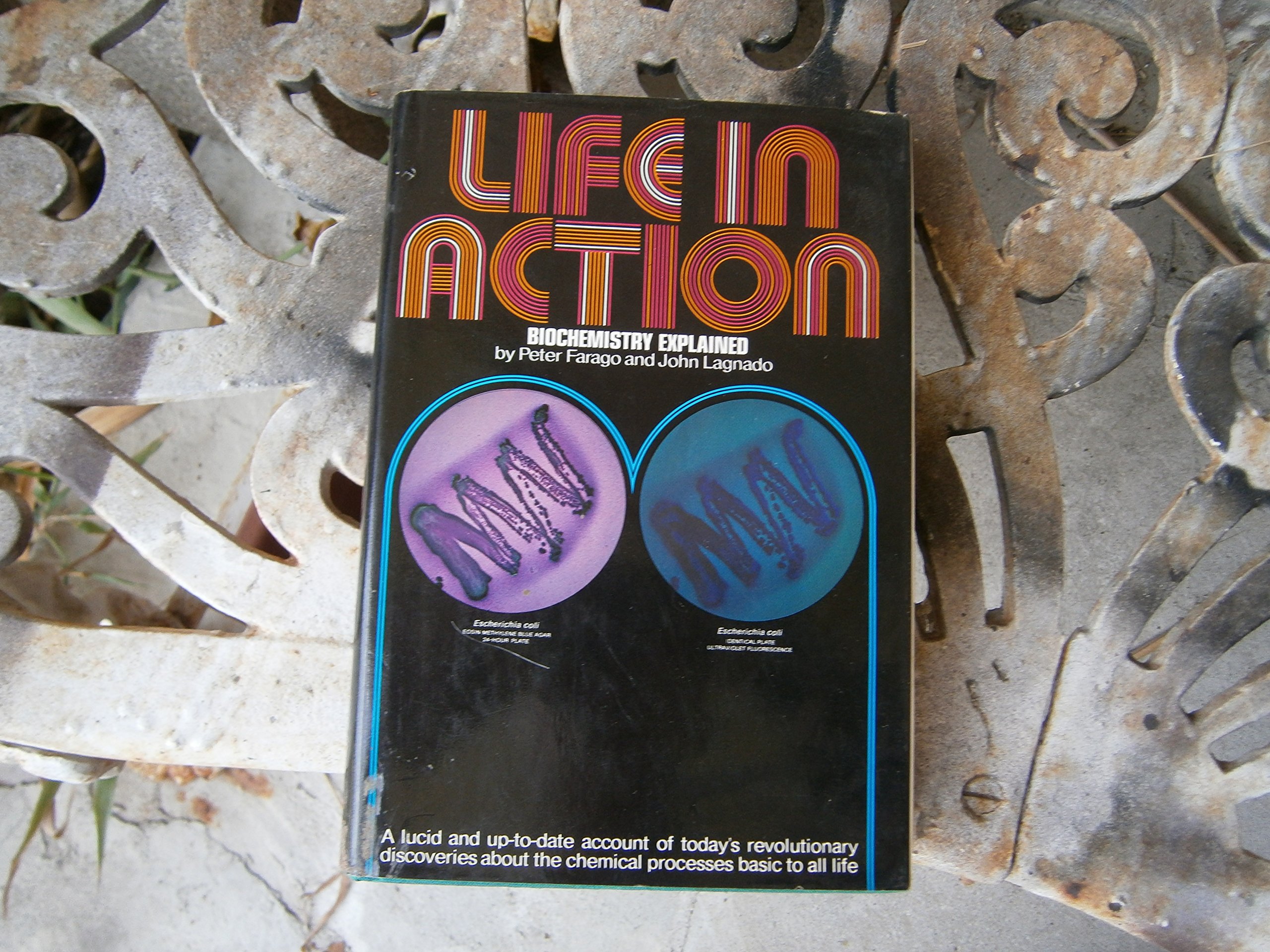 Life in action: Biochemistry explained by John Lagnado Peter Farago ...