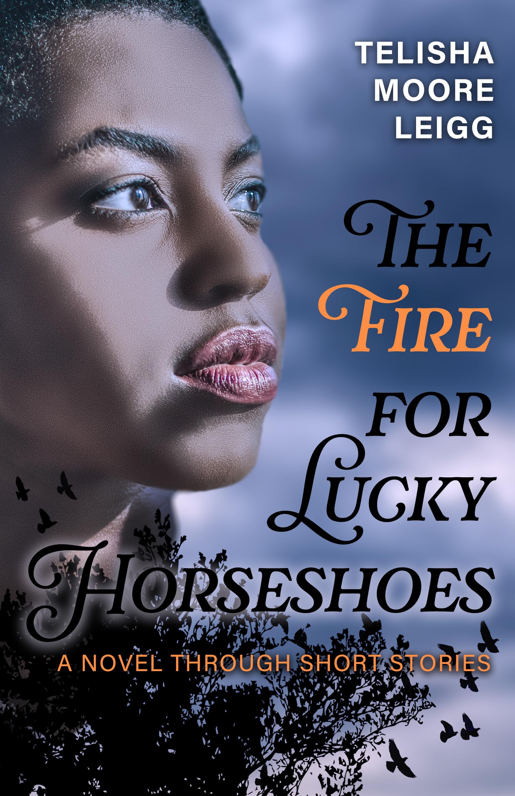 The Fire For Lucky Horseshoes by Telisha Moore Leigg | Goodreads