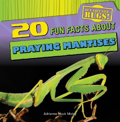 20 Fun Facts About Praying Mantises (Fun Fact File) by Adrienne Houk ...