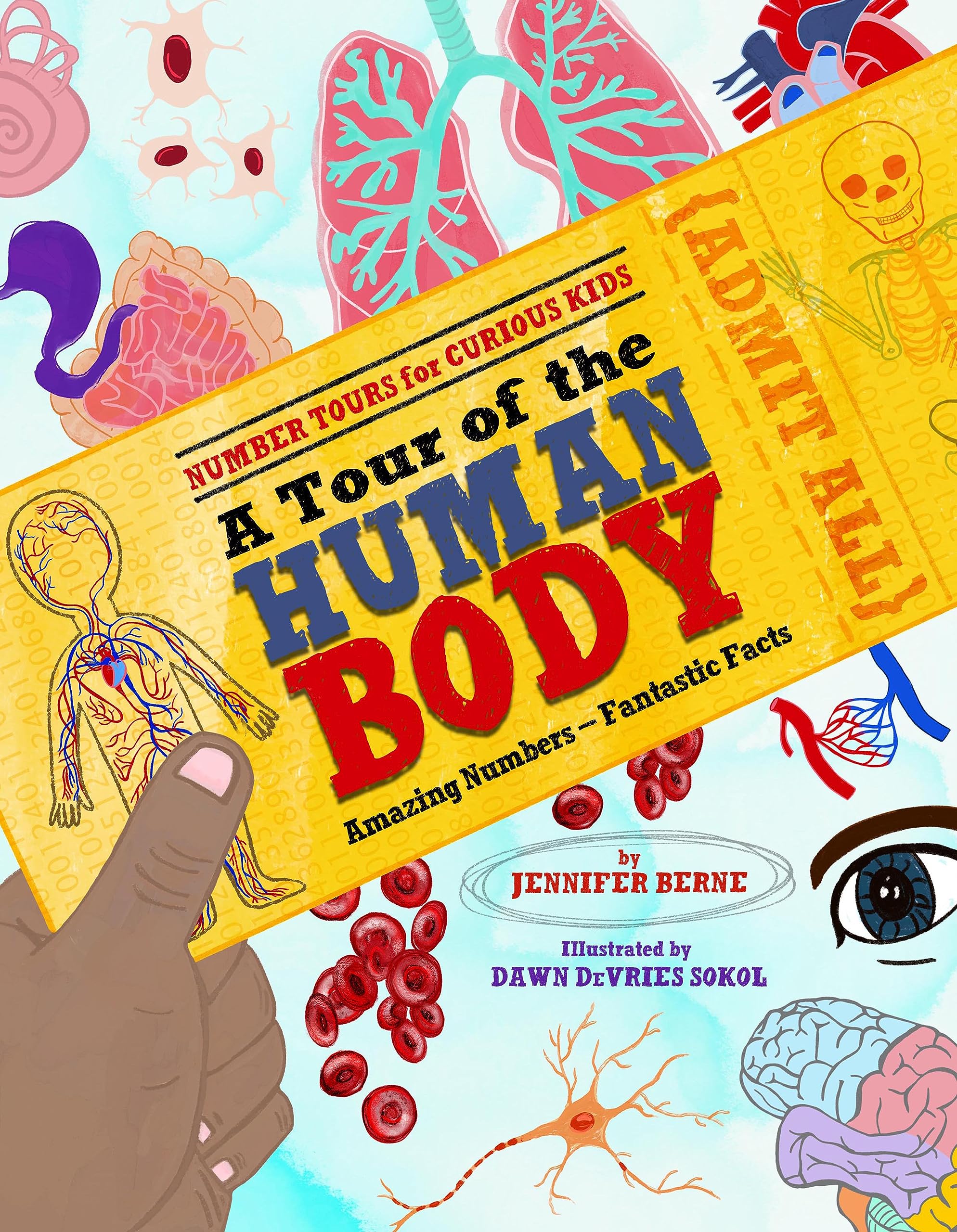 A Tour of the Human Body: Amazing Numbers — Fantastic Facts by Jennifer ...