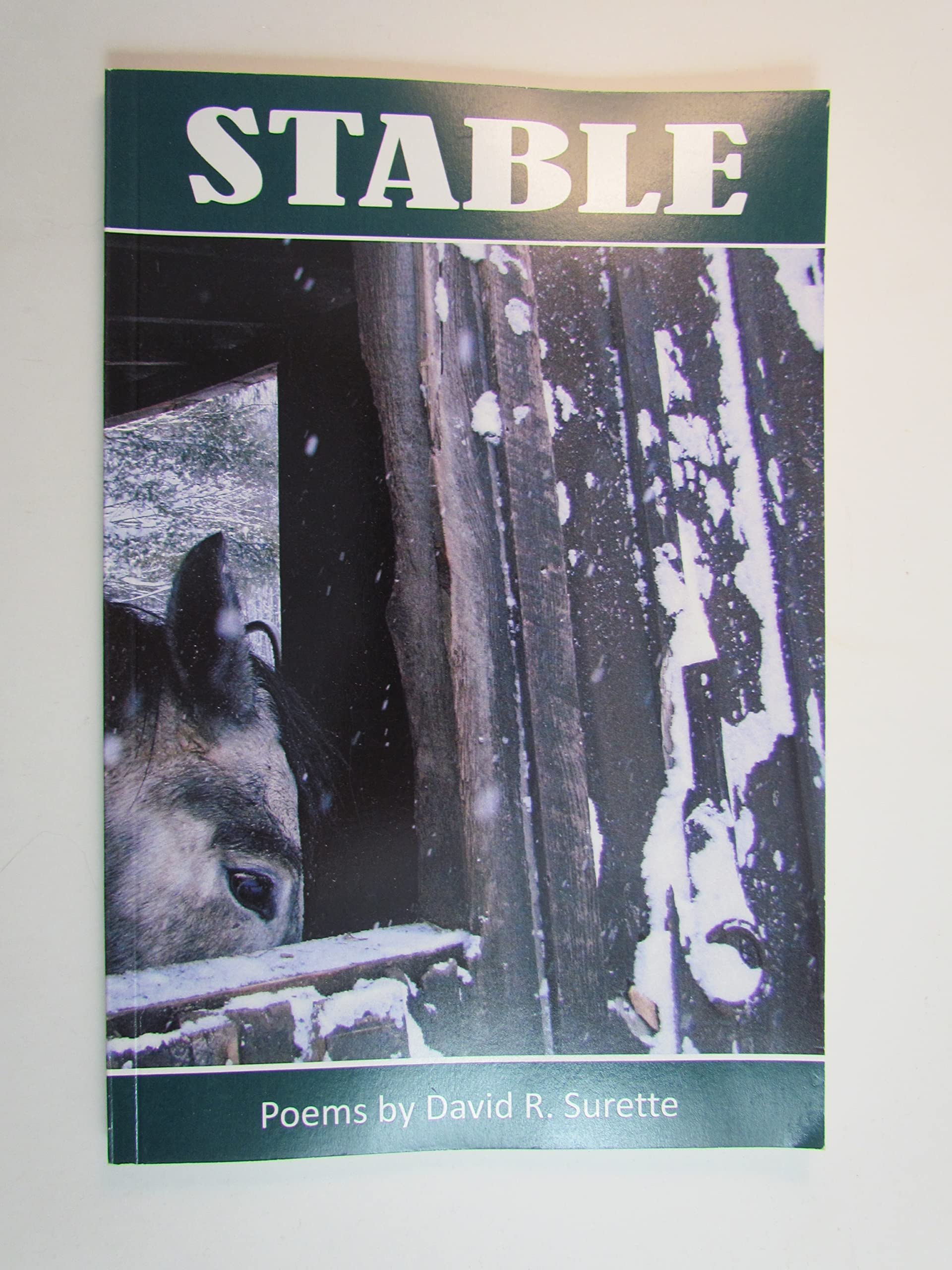 Stable, Poems by David R. Surette | Goodreads
