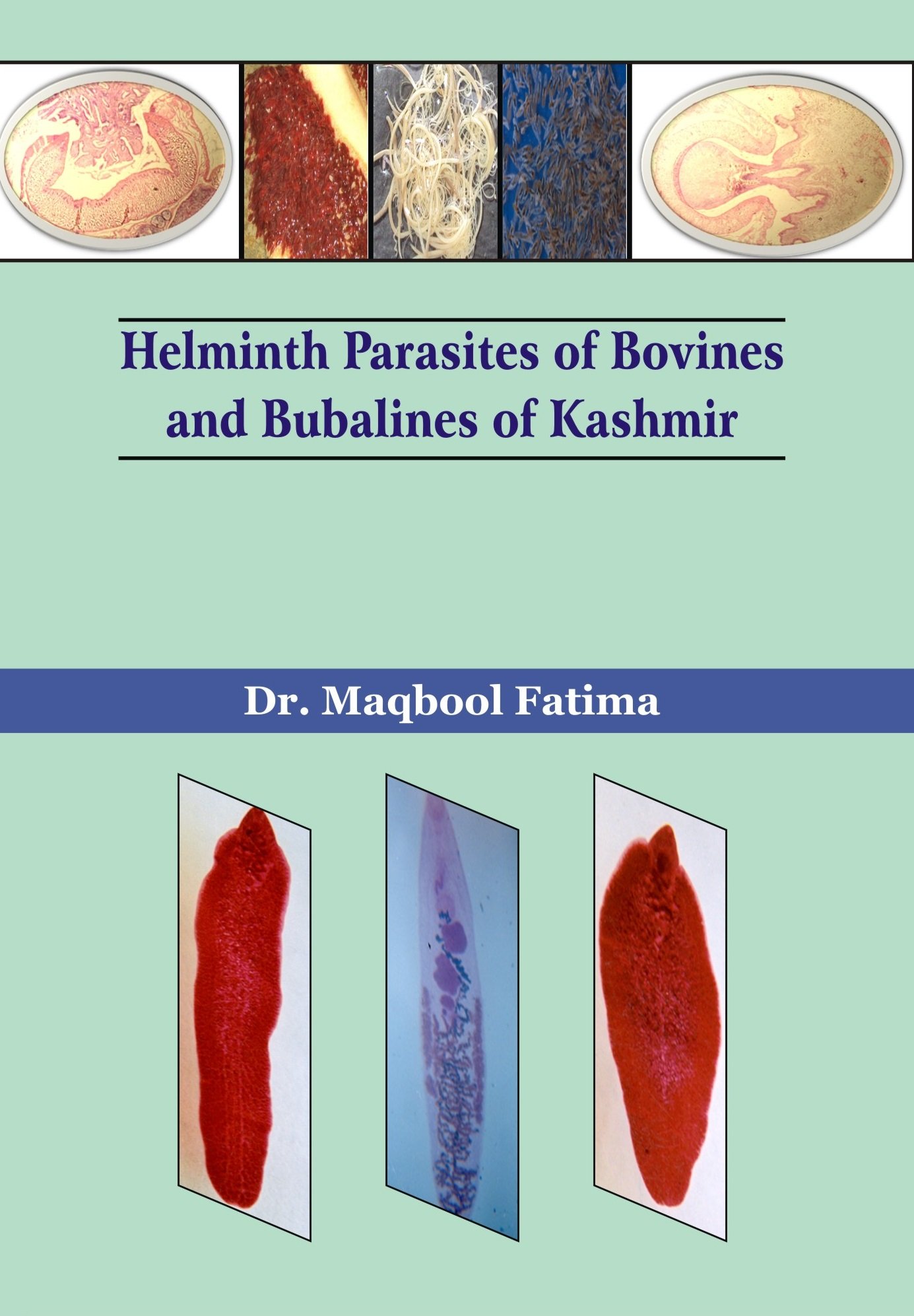 Helminth Parasite Of Bovines And Bubalines Of Kashmir by Maqbool Fatima ...