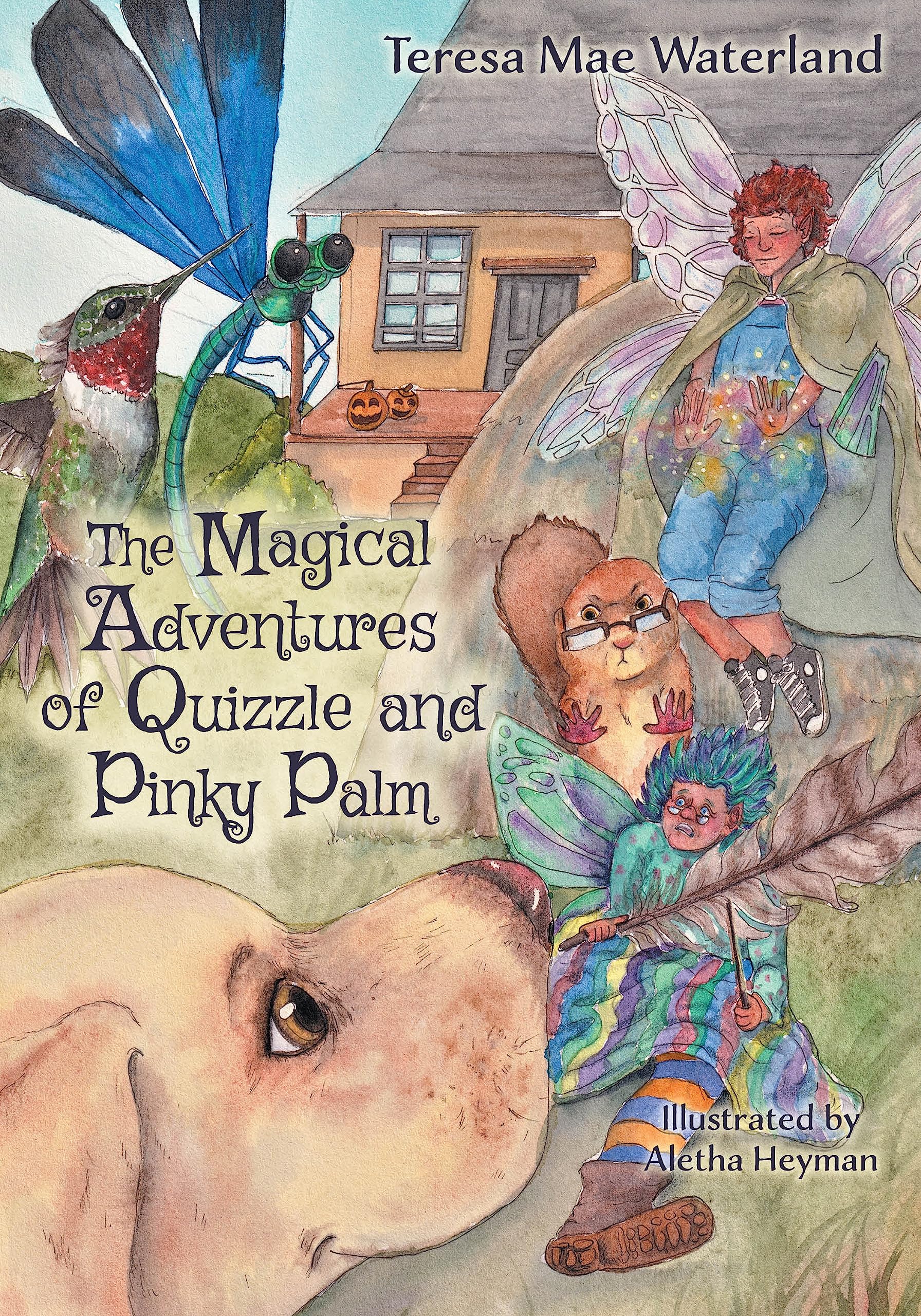 The Magical Adventures of Quizzle and Pinky Palm by Teresa Mae ...
