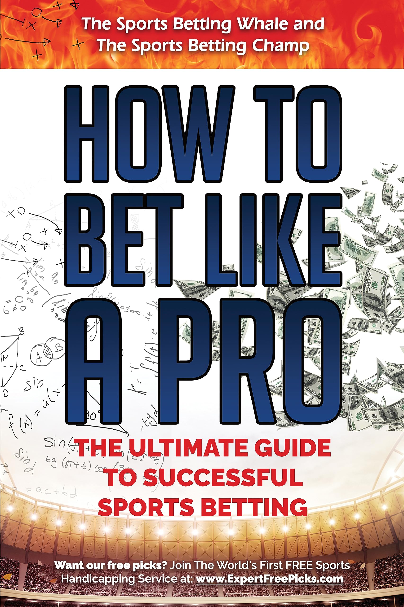 How to Bet Like A Pro: The Ultimate Guide to Successful Sports Betting ...