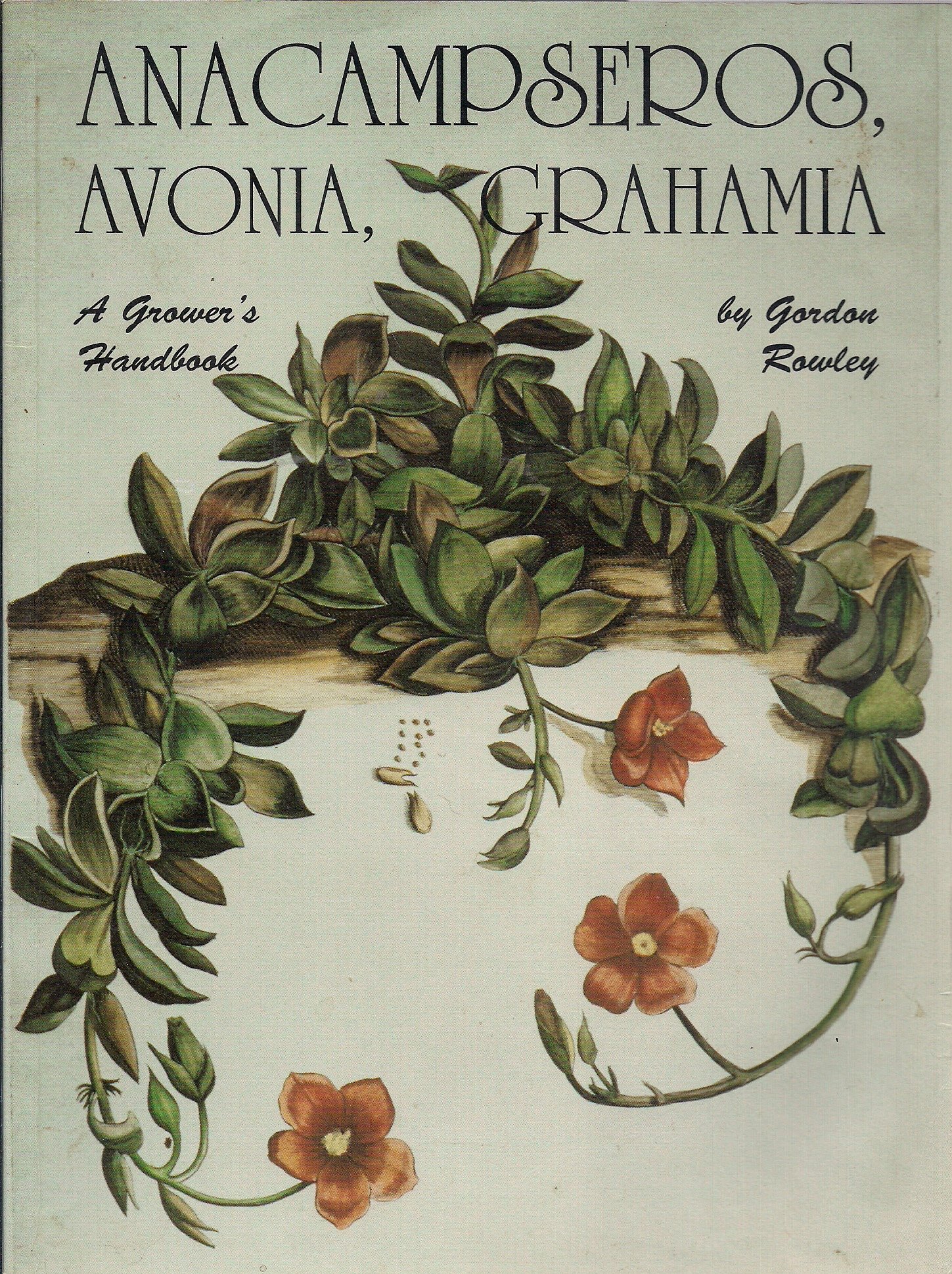 Anacampseros, Avonia, Grahamia: A Grower's Handbook by Gordon Douglas ...