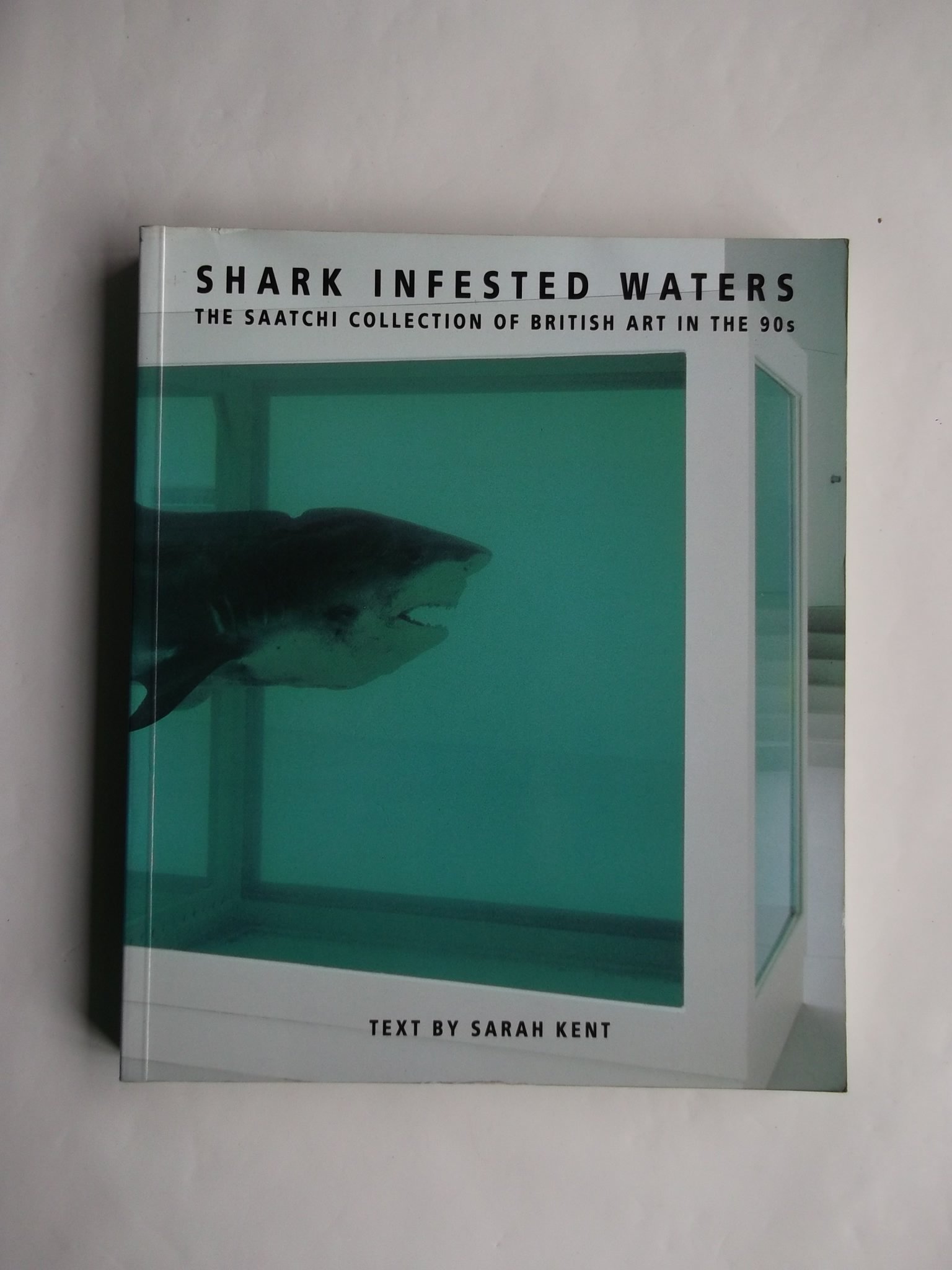 Shark Infested Waters: The Saatchi Collection of British Art in the 90s ...
