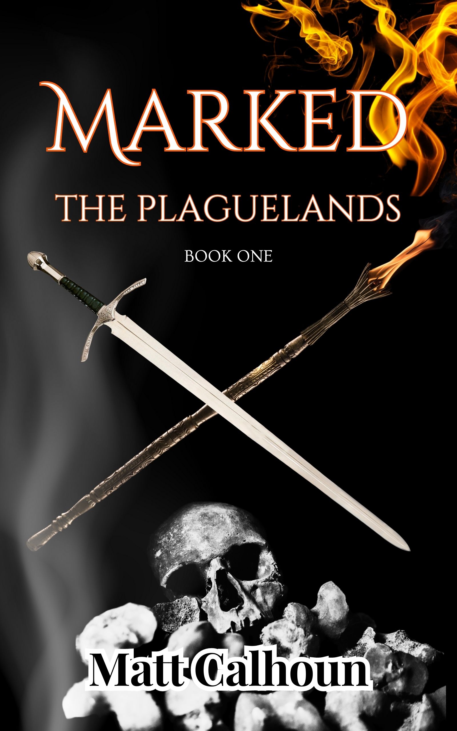 Marked (The Plaguelands, #1) by Matt Calhoun | Goodreads