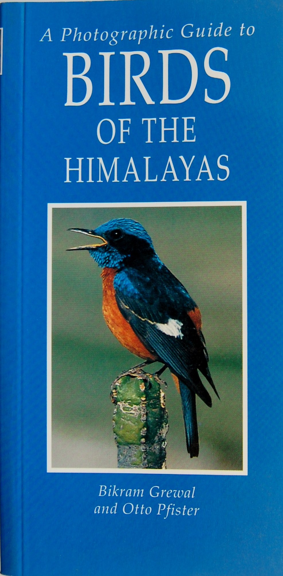 A Photographic Guide to Birds of the Himalayas by Bikram Grewal | Goodreads