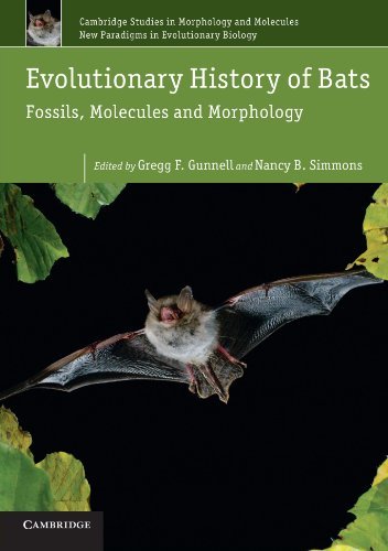 Evolutionary History of Bats: Fossils, Molecules and Morphology ...